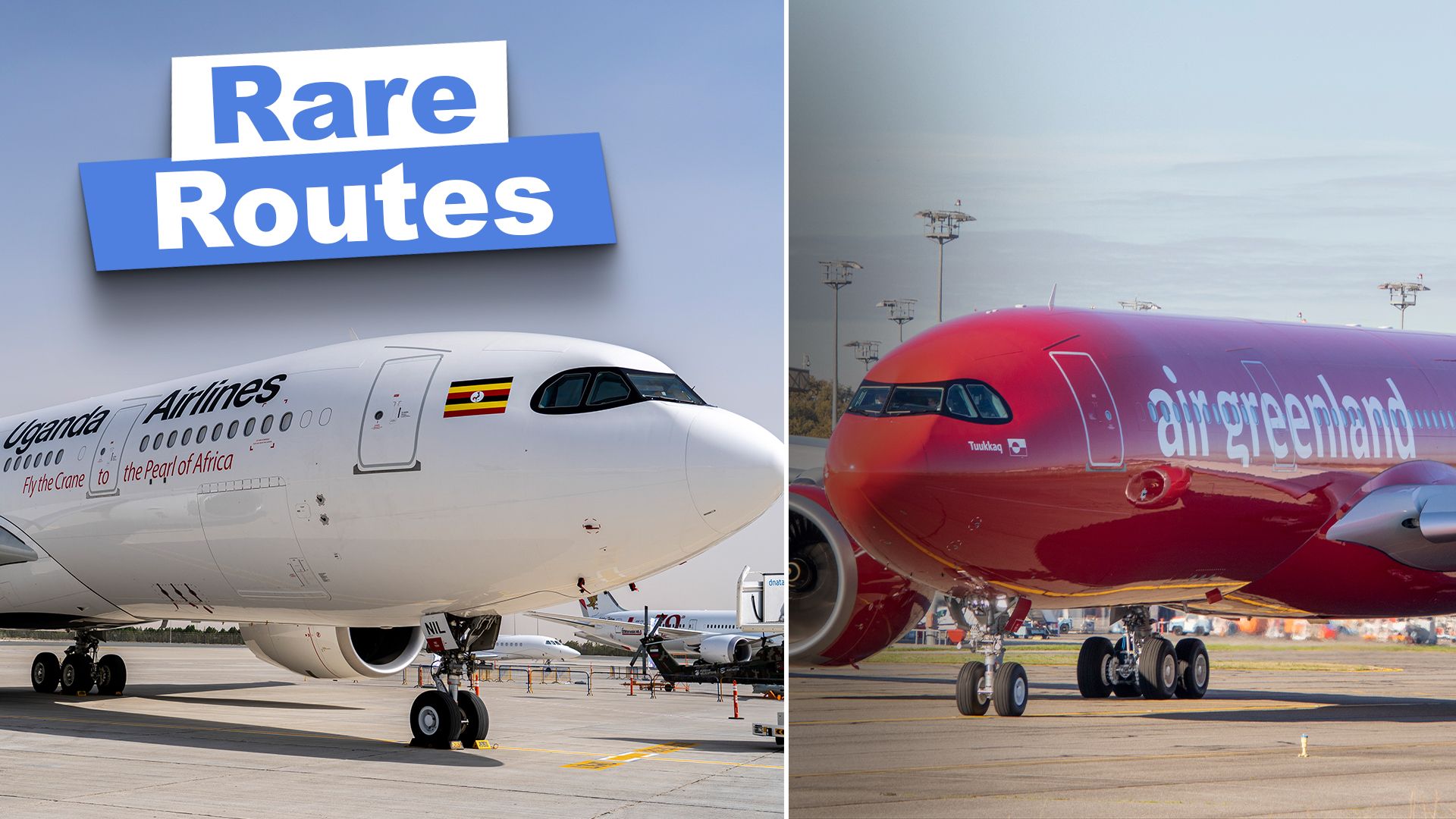 Rare Variant: Which Routes Is The Airbus A330-800 Used On?