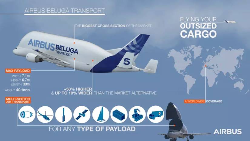 Airbus Beluga Transport: Everything You Need To Know
