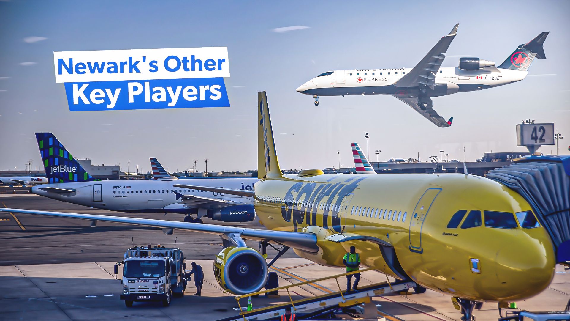 Not Just United: Examining The Other Airlines With Large Presences At ...