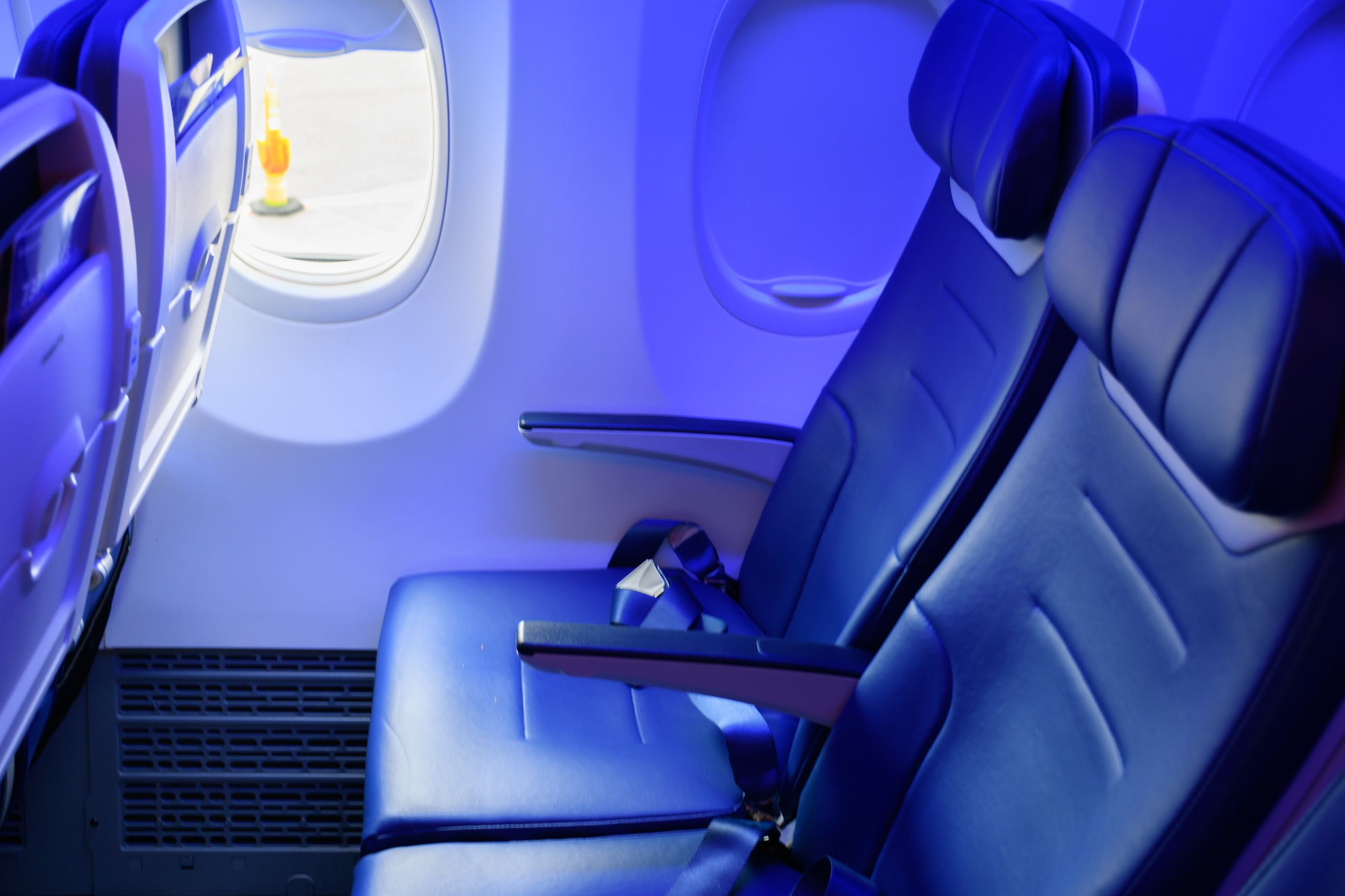 Flight Review: Southwest Airlines Boeing 737 MAX 8 From Seattle To Salt ...