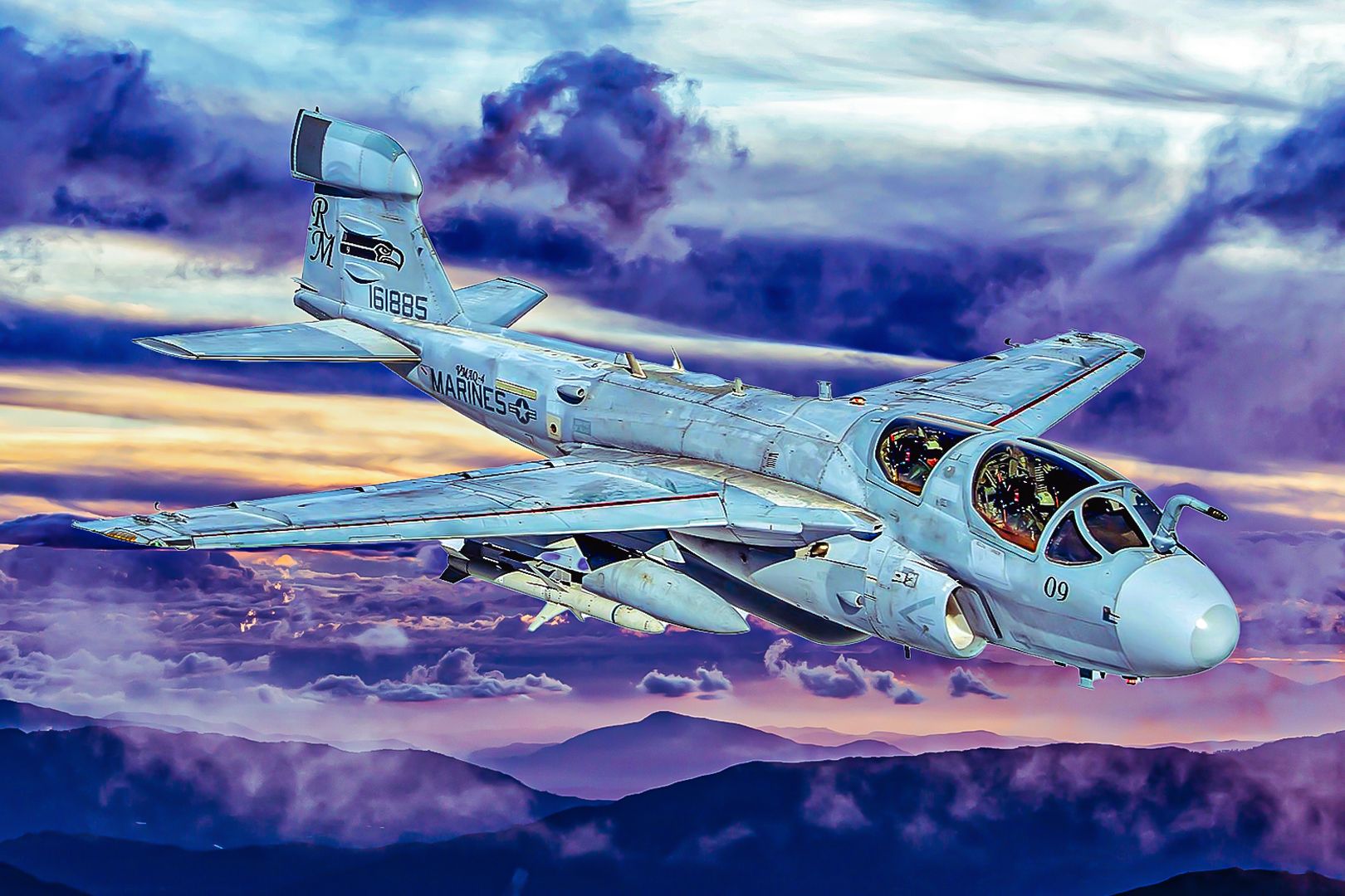 Electronic Attack Squadron (VAQ) 130: What To Know About The US Navy ...