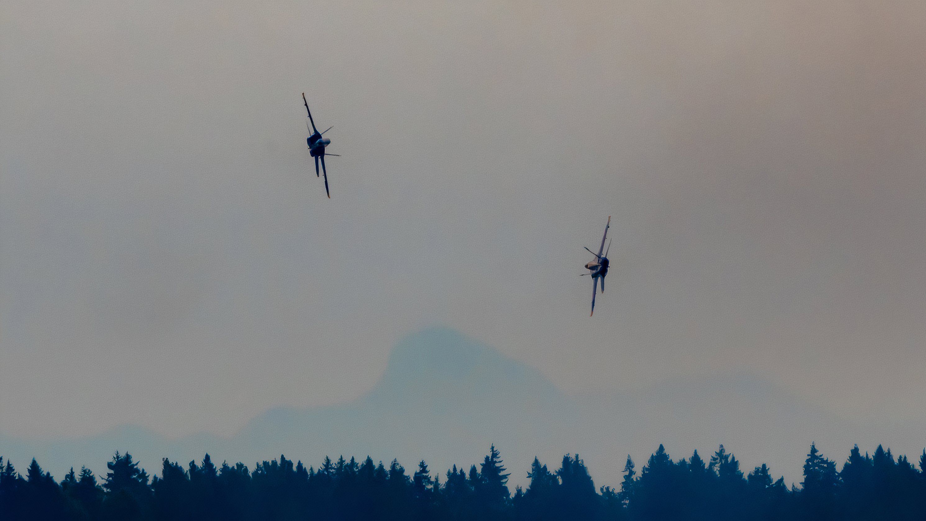 How The US Navy Blue Angels Coordinate Their Maneuvers