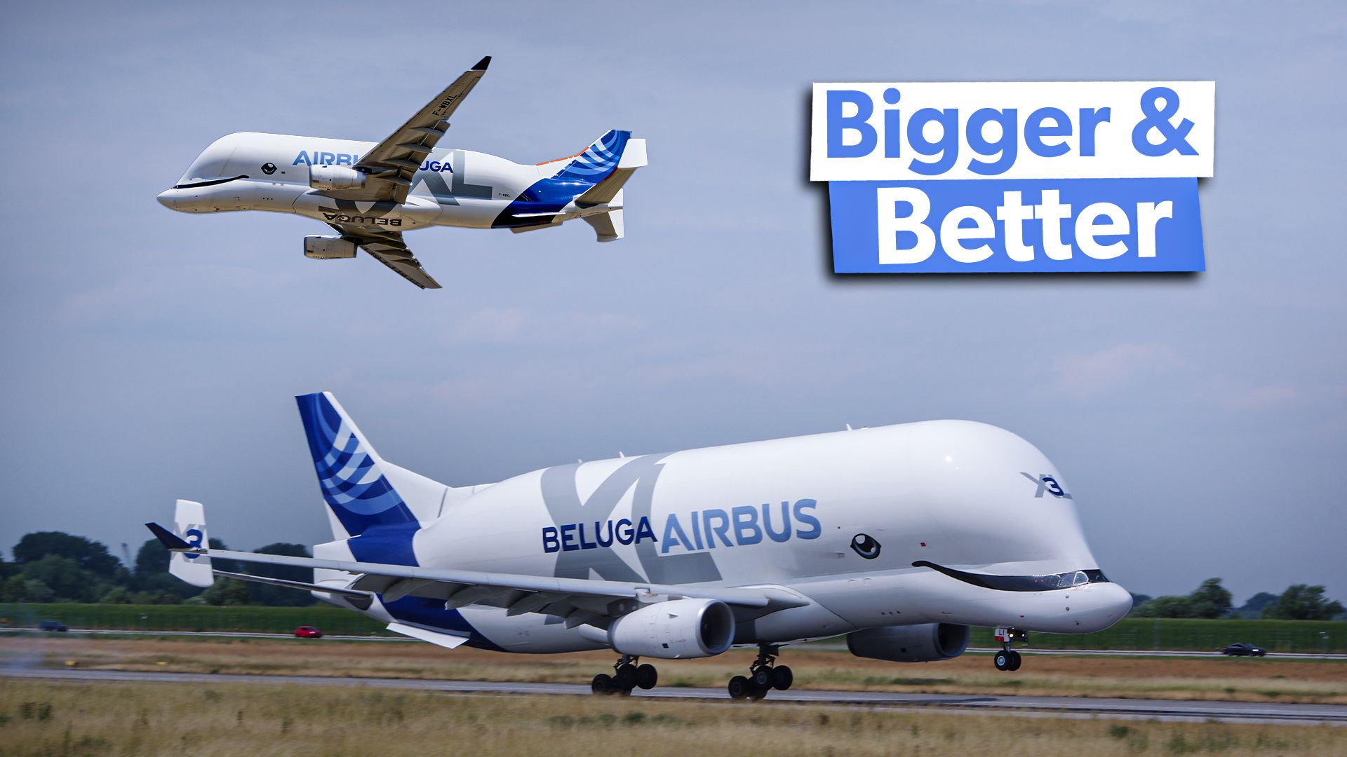 Airbus BelugaXL: 5 Things To Know About The Enormous Outsize Freighter