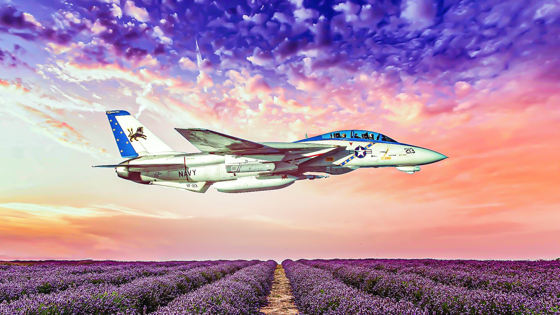 Is The F-14 Tomcat A 4th-Gen Fighter Jet?