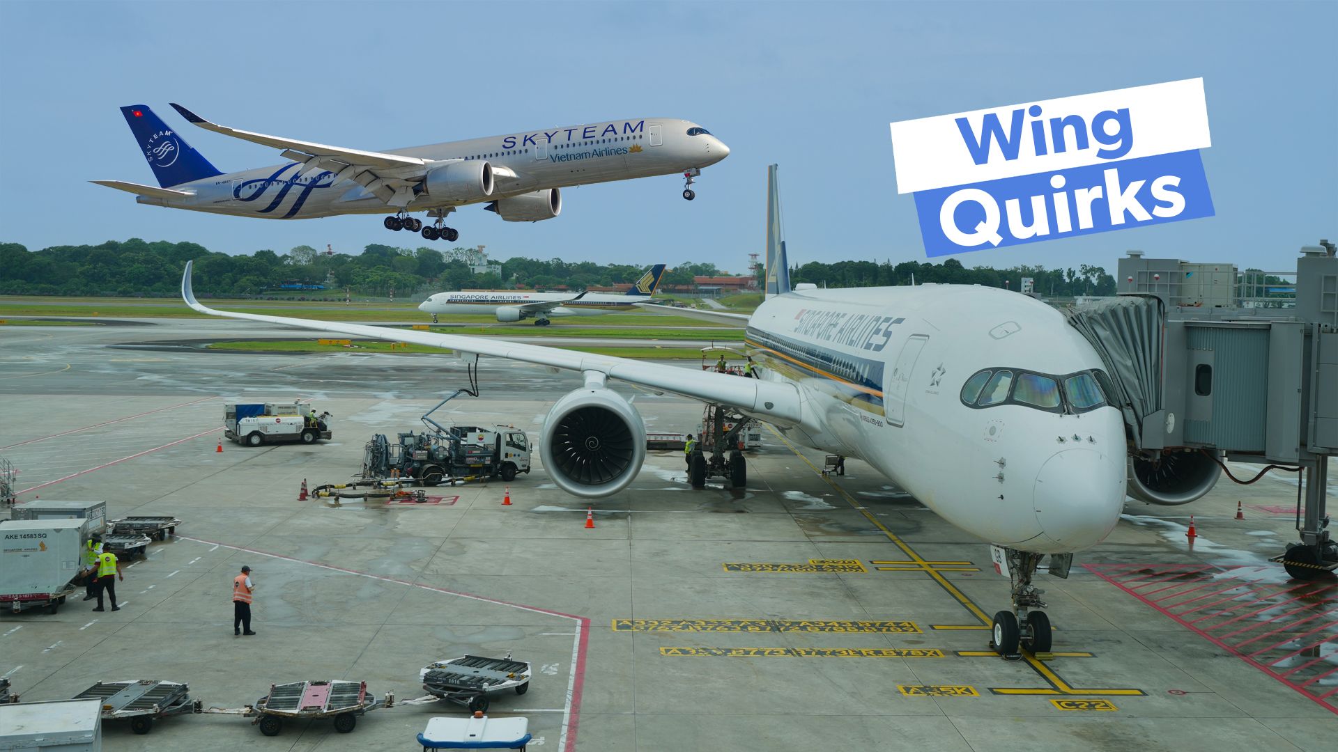 How The Airbus A350-900 & A350-1000 Have Different Wing Sizes Despite ...