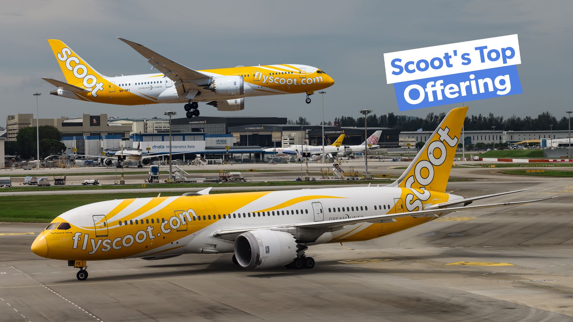 ScootPlus: Everything You Need To Know About Premium Economy On Scoot