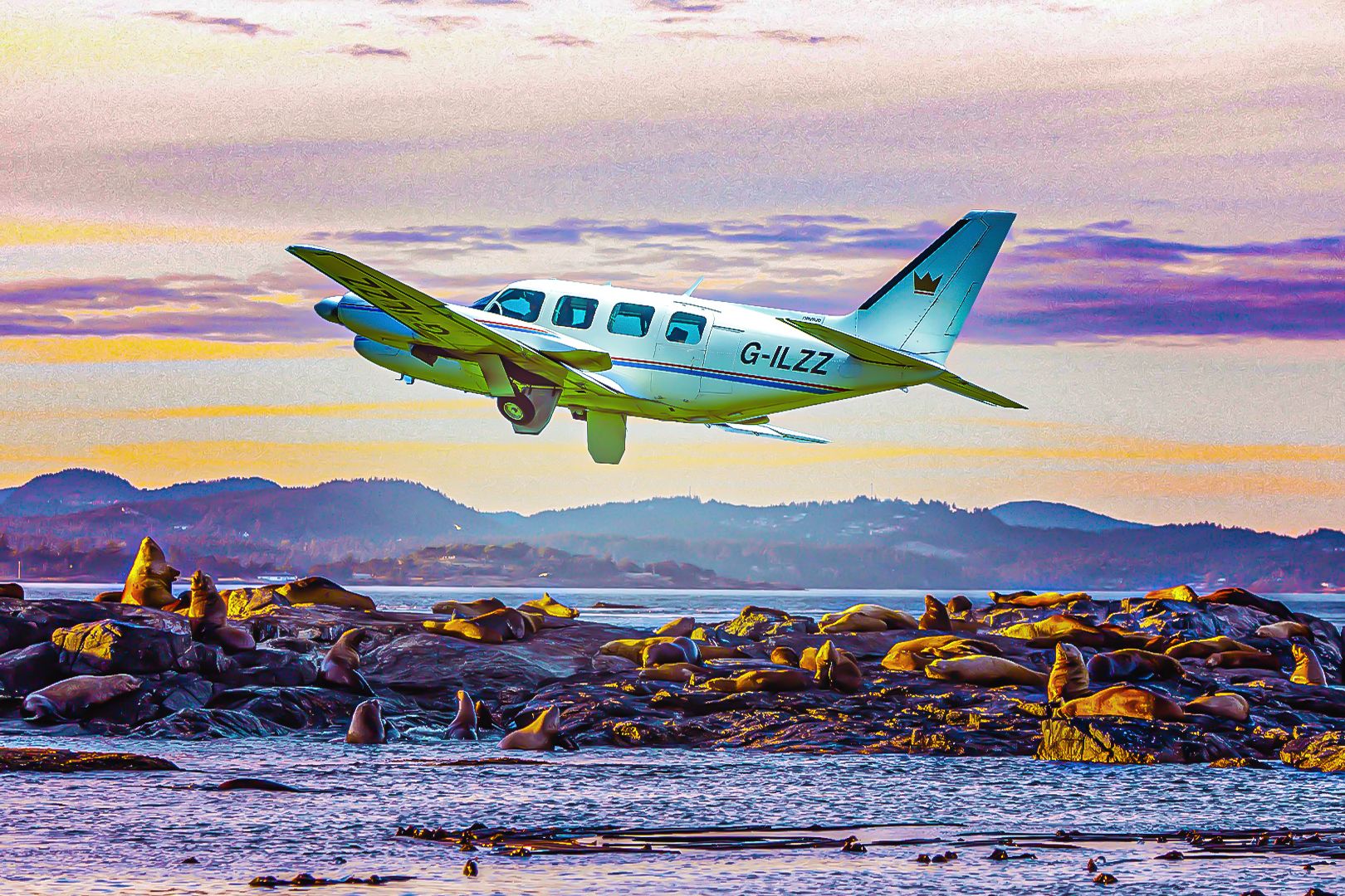 The Piper Cub Creators: A Closer Look At The Taylor Brothers