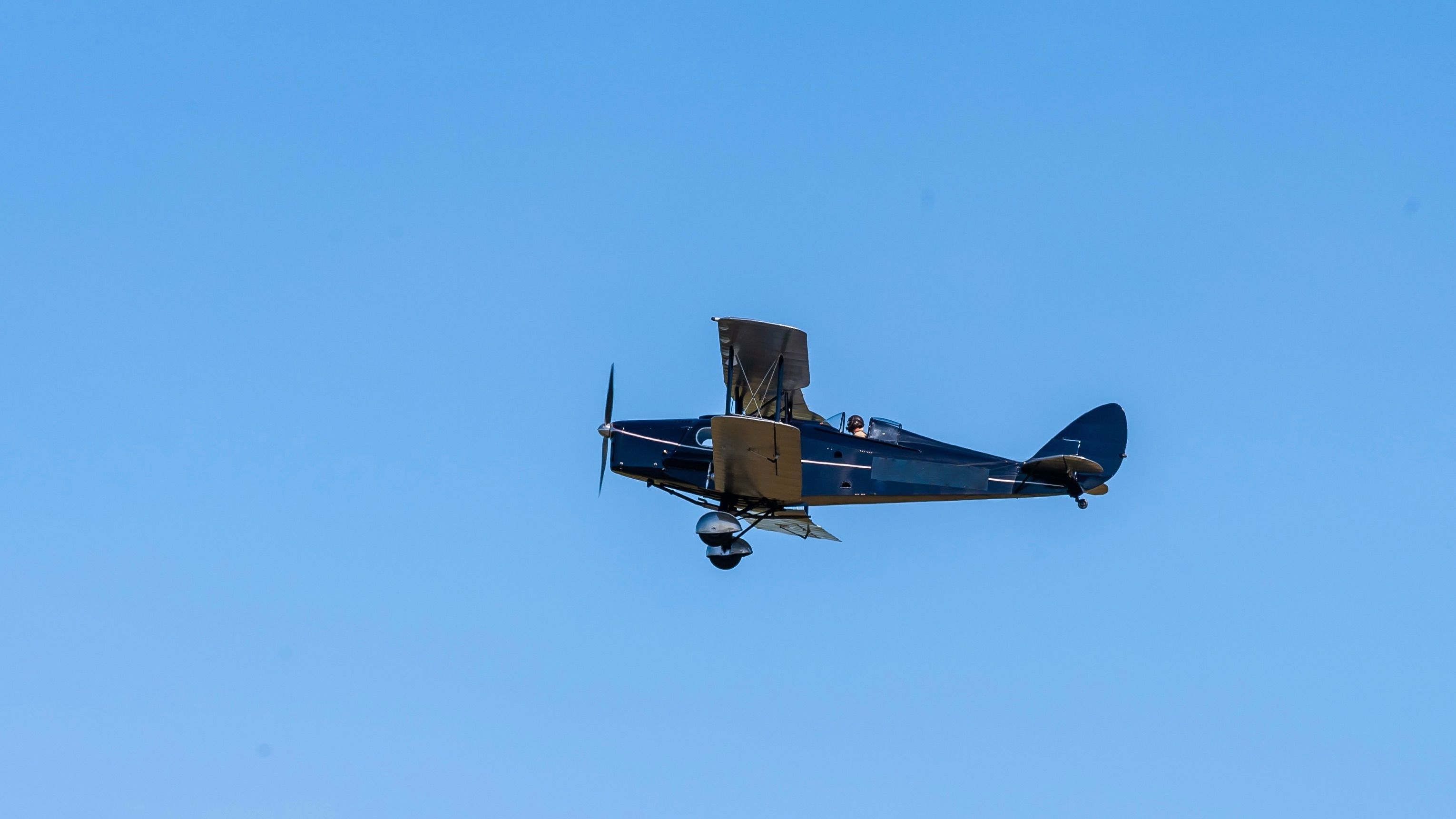 A Closer Look At The De Havilland Fox Moth