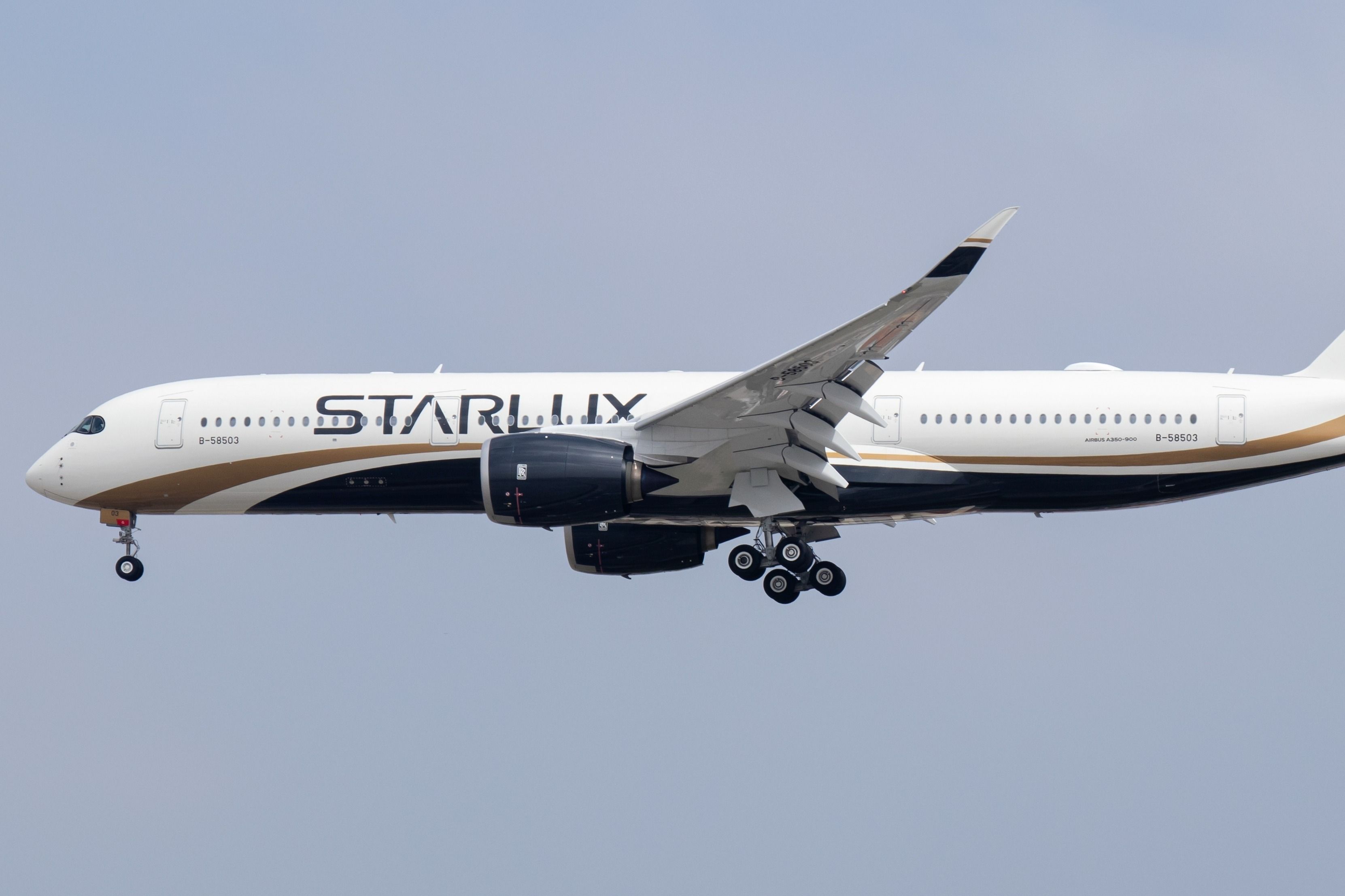 India's Aviation Regulator Asks Go First To Stop Taking New Flight Bookings