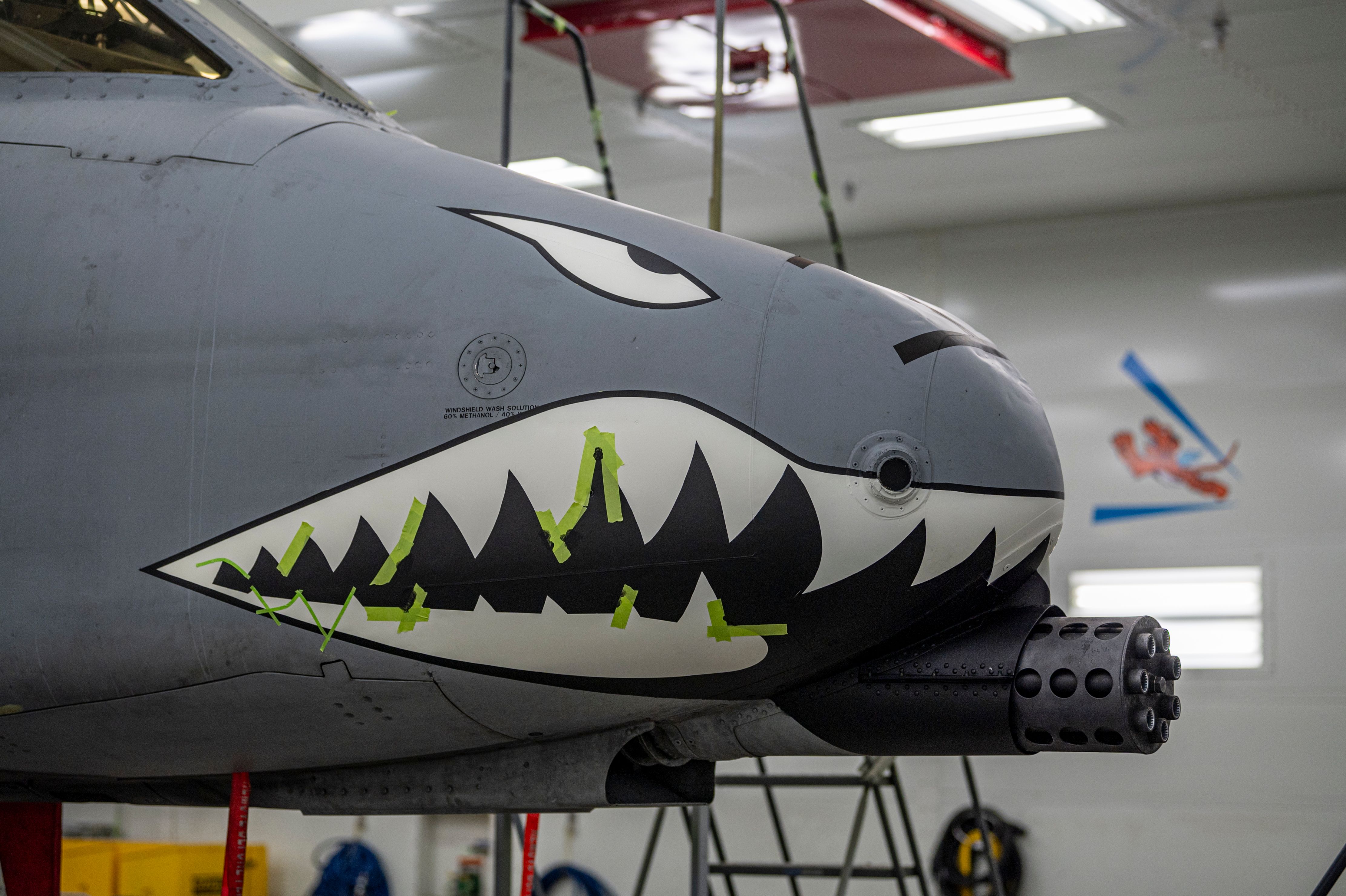 Pin-Ups, Sharks & Cartoons: A Quick History Of US Military Aircraft ...