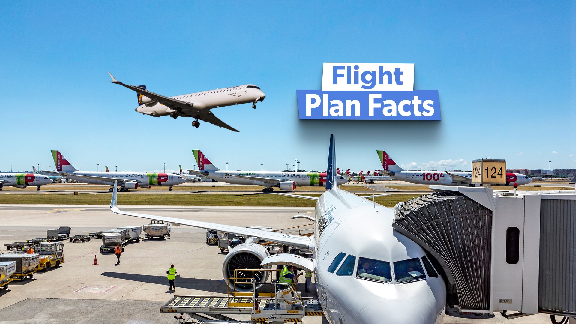 Airline Flight Plans: Examining The Most Important Elements