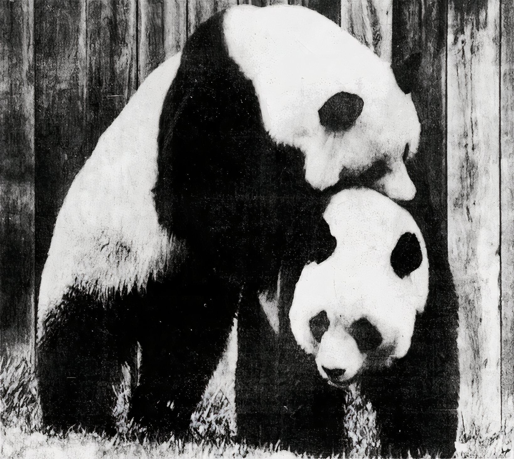 How Are Large & Exotic Animals Transported By Air?