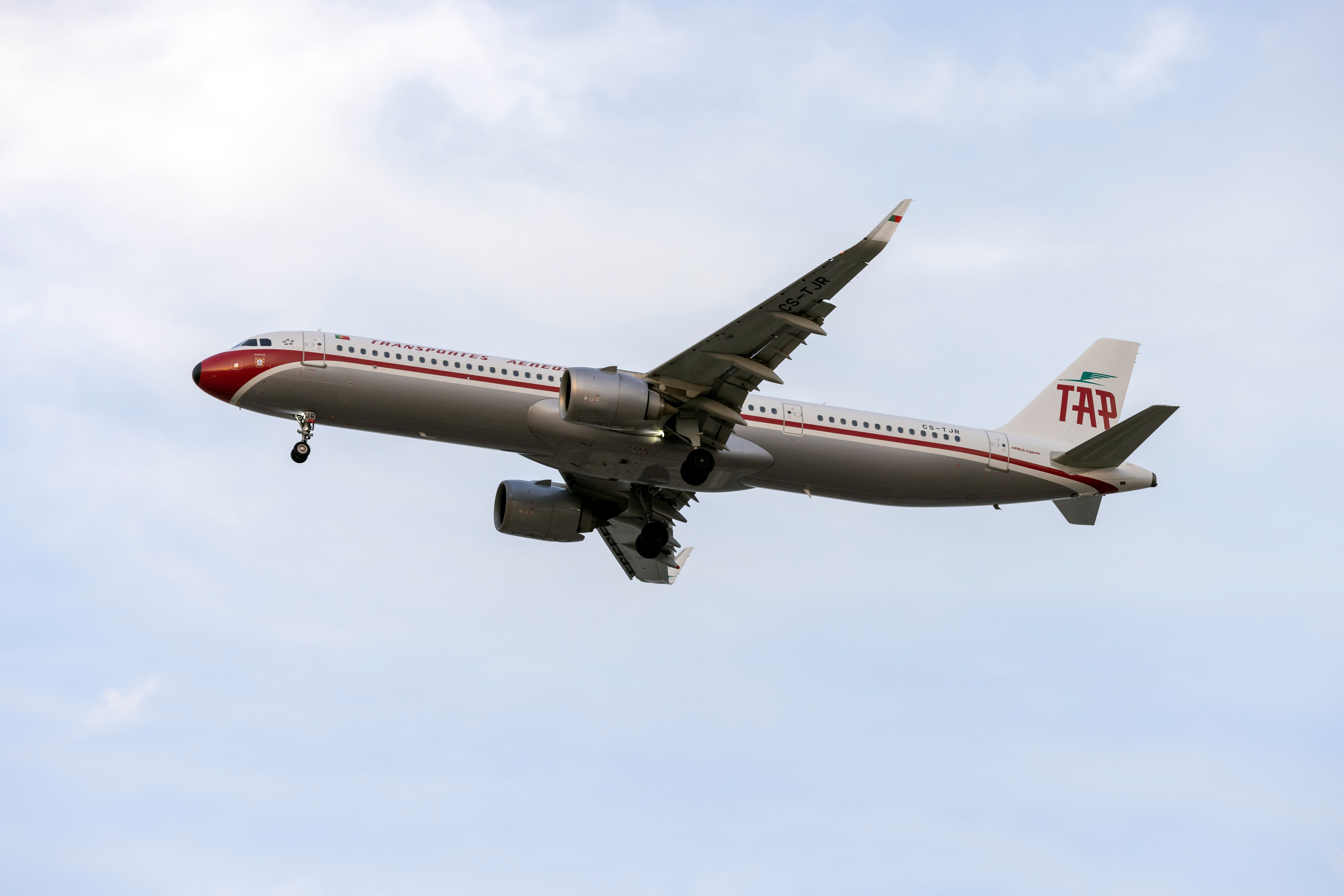 132 Hamsters Run Riot In Cargo Hold Of TAP Air Portugal Airbus A321 ...