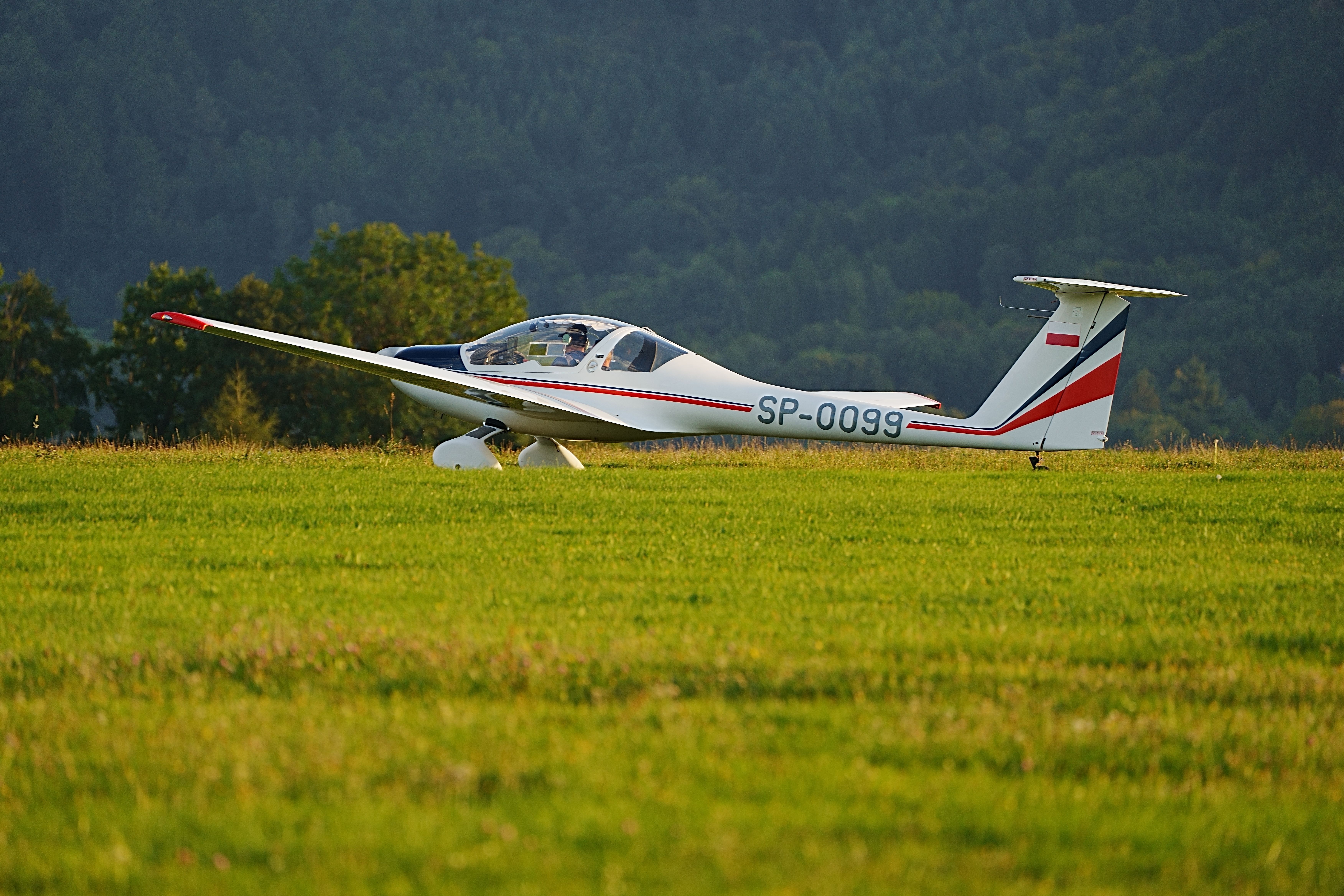 A Guide To 4 Aircraft That Diamond Aircraft Has Produced