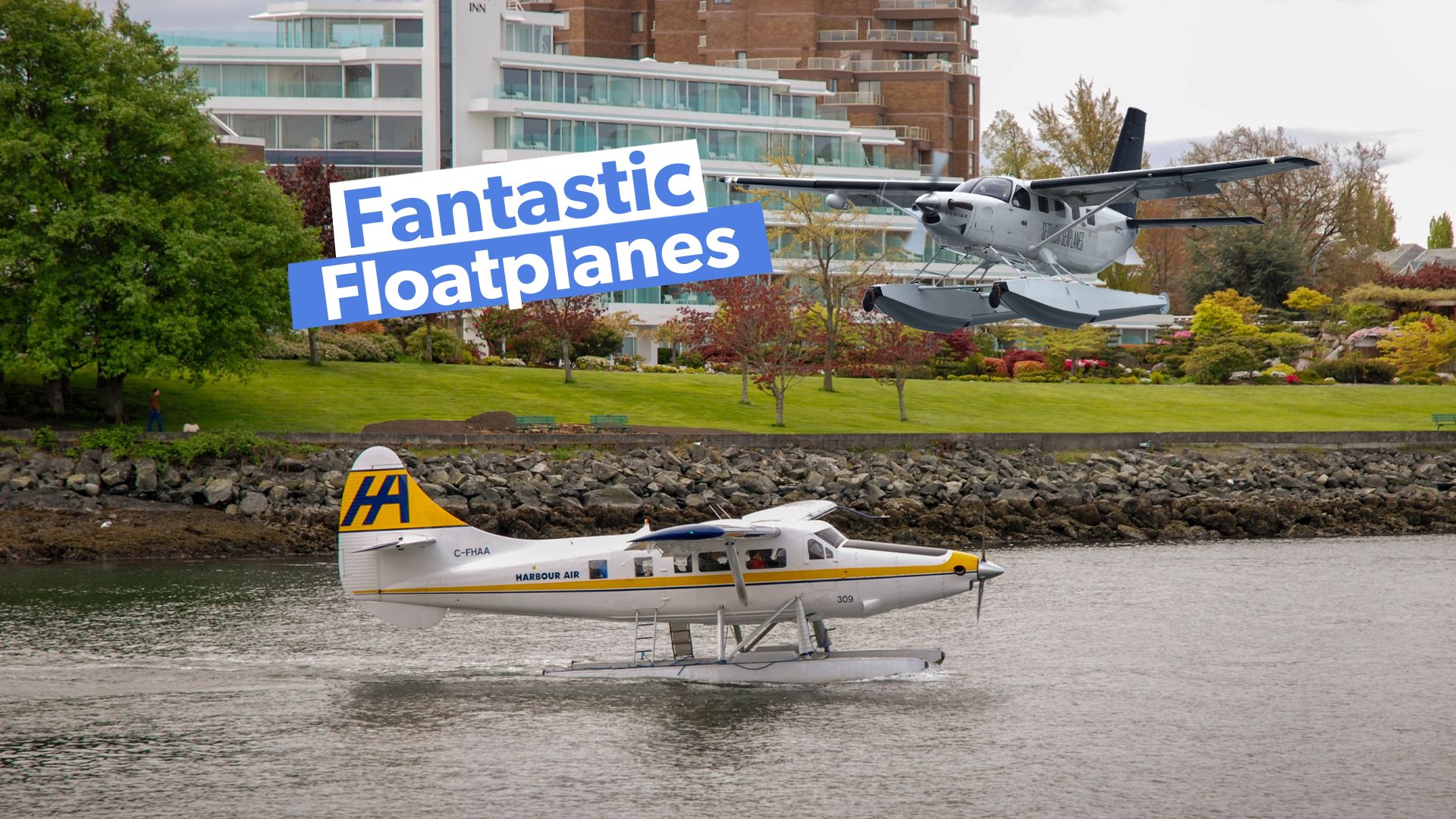Small But Mighty: Why Floatplanes Are A Hit With Both Airlines & Their ...
