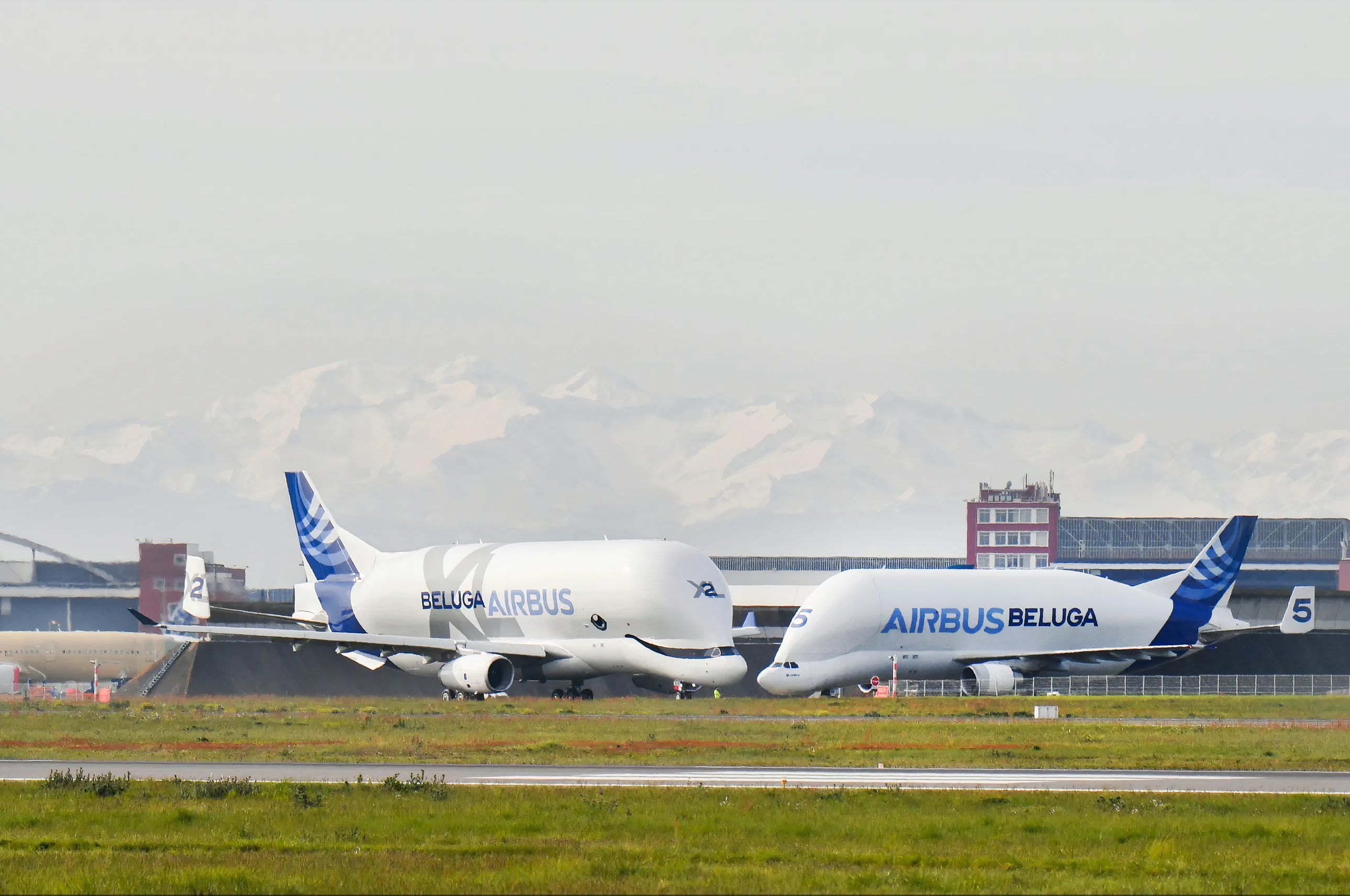 Airbus Abandons Its Beluga Cargo Airline