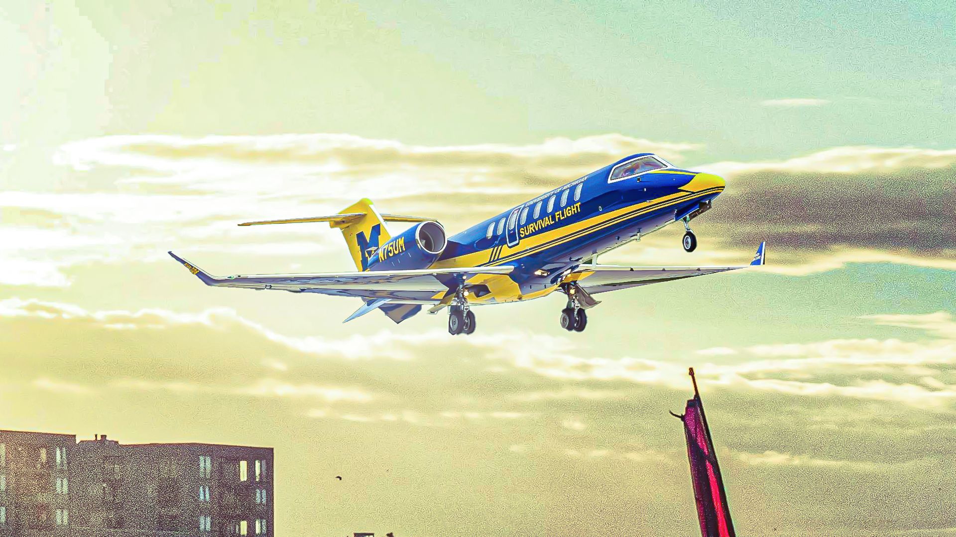 How Does The University Of Michigan Survival Flight Program Work?