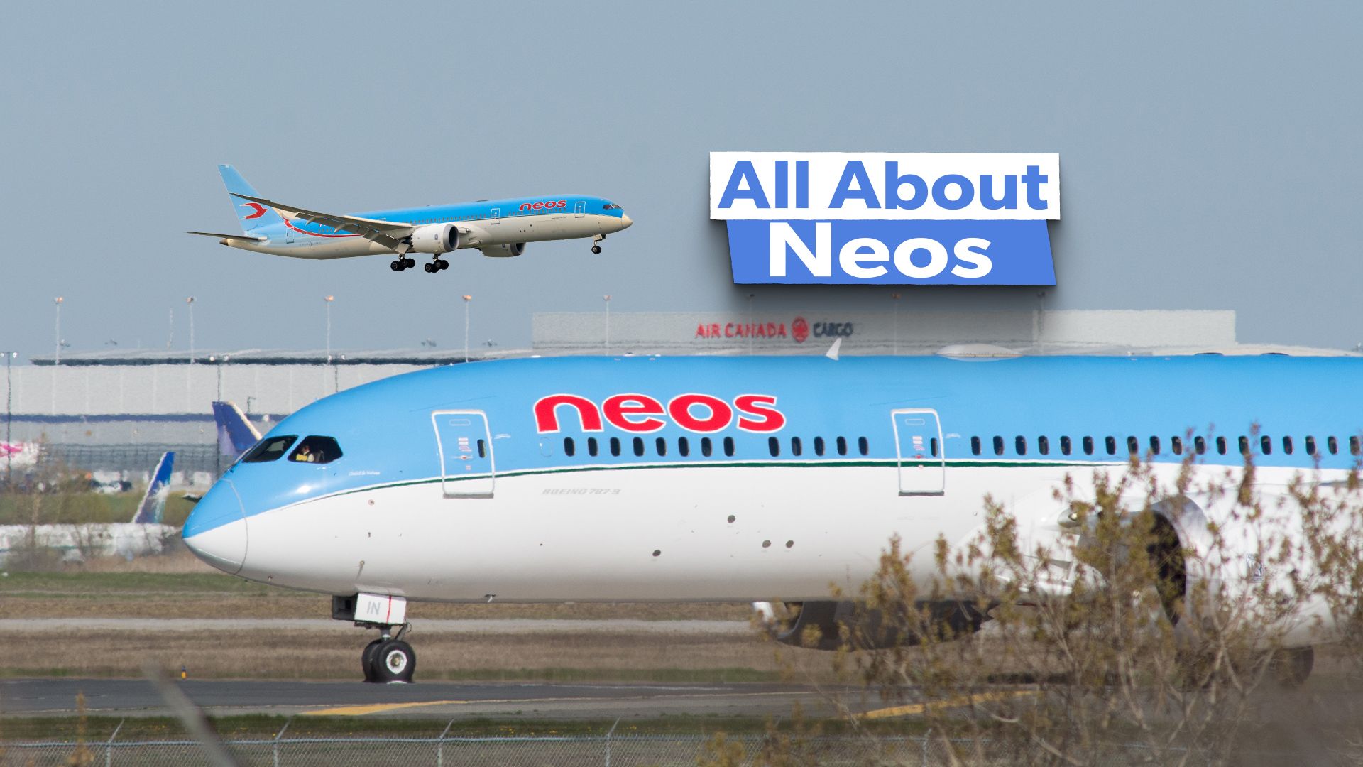 Now Going Transatlantic: Everything You Need To Know About Italian Airline Neos