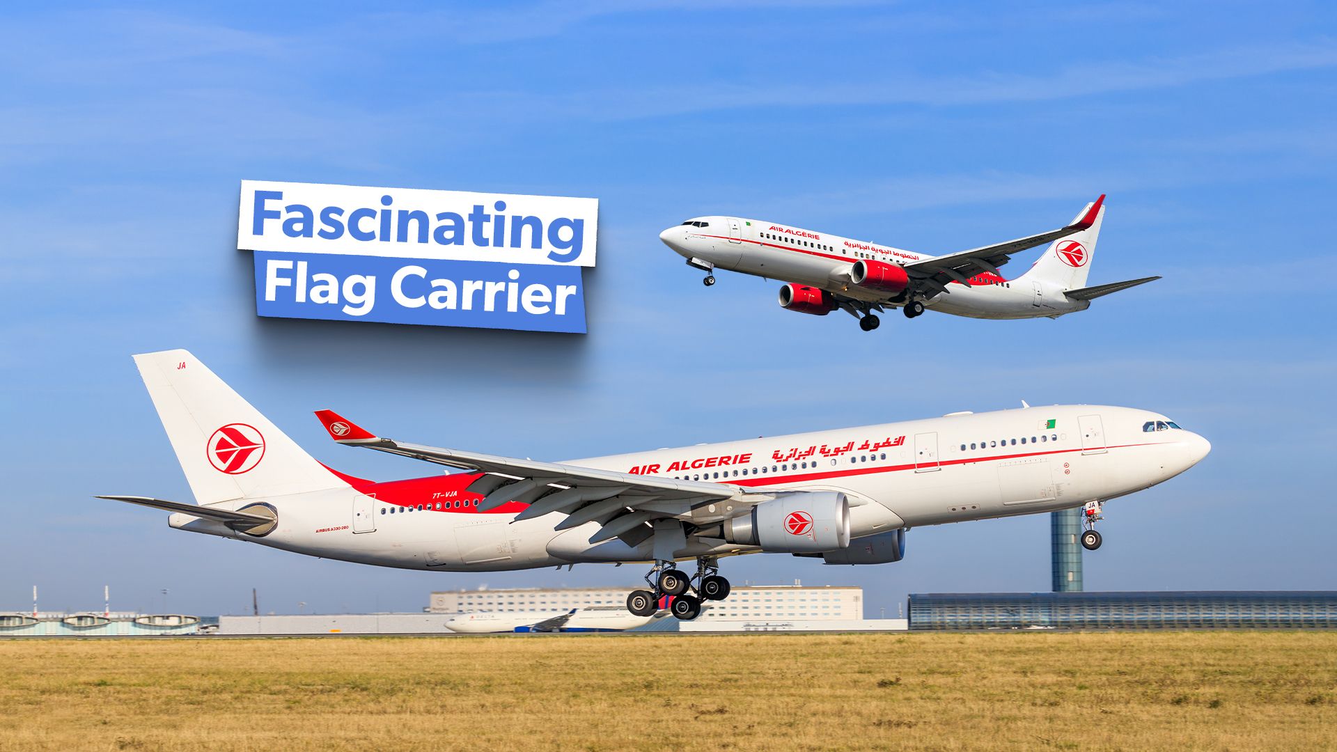 What Makes Air Algerie Such A Fascinating Airline?