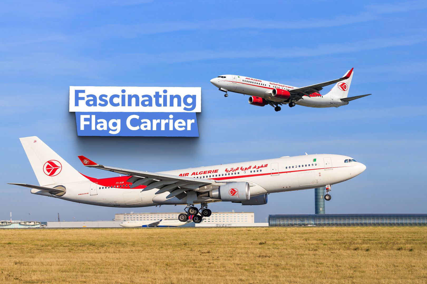 Air Algerie plans expansion with new aircraft and routes as Algeria ...