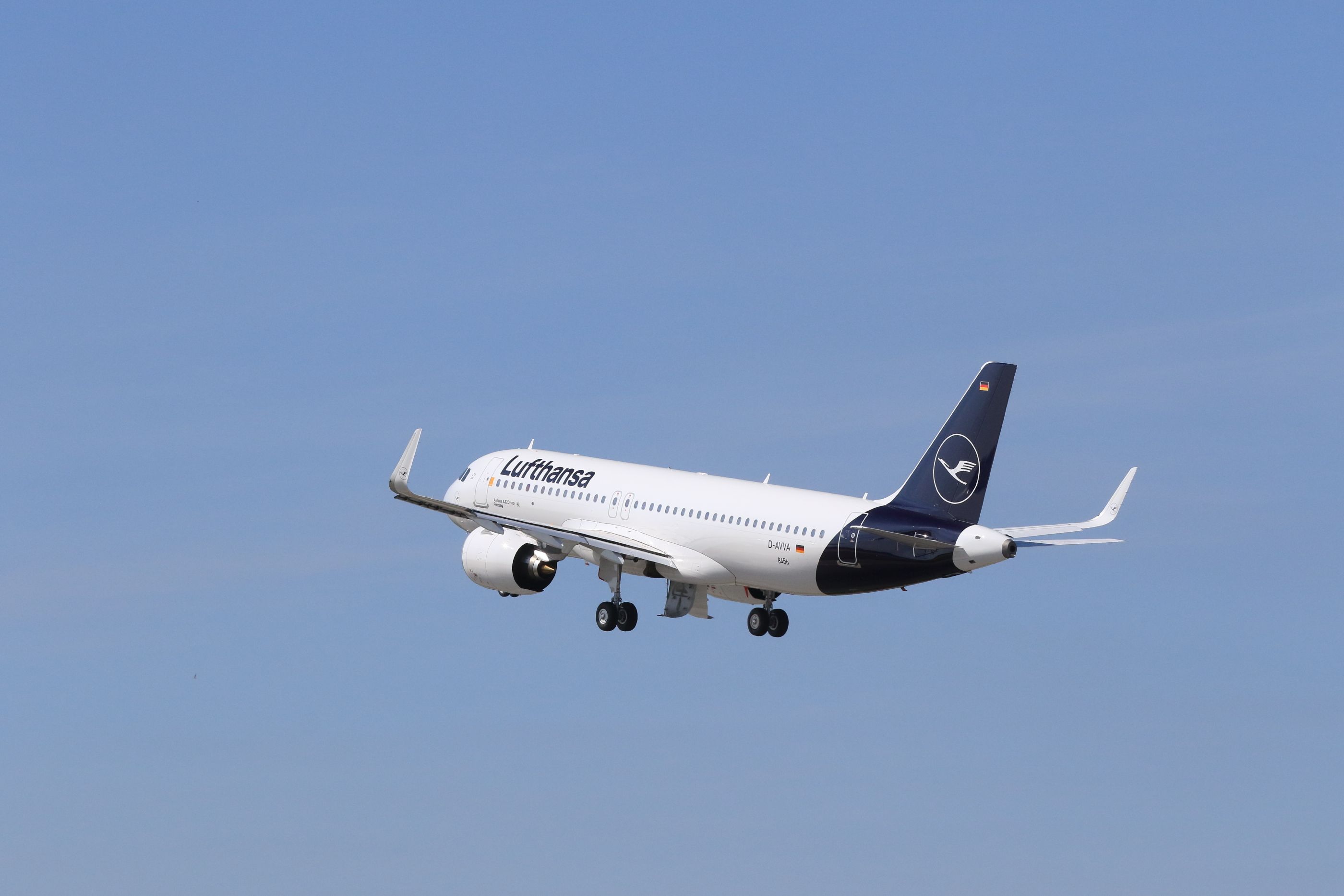 Airbus A320neo - A320neo | Simple Flying