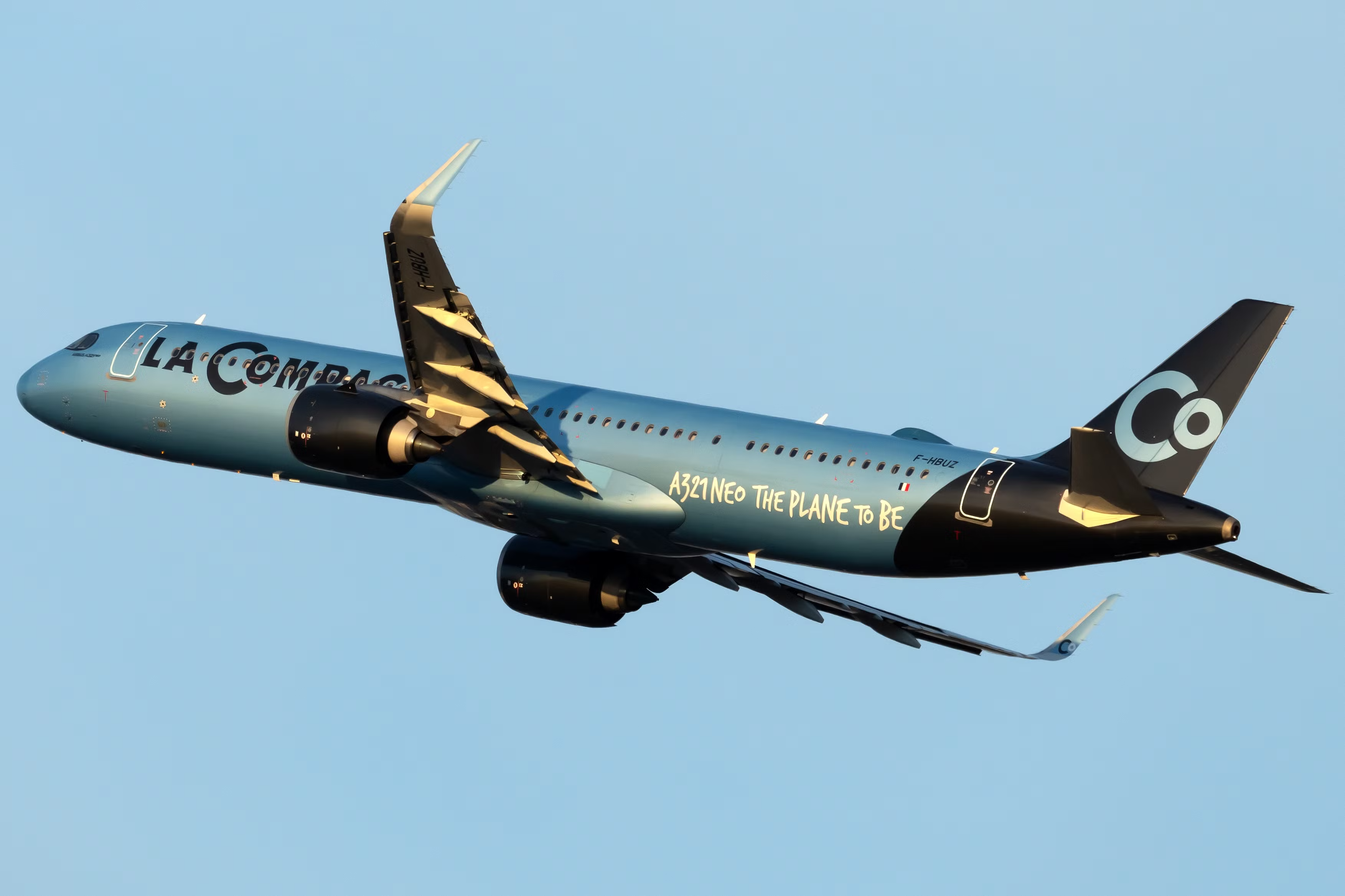What Airline Types Other Than Low-Cost & Legacy Carriers Exist?