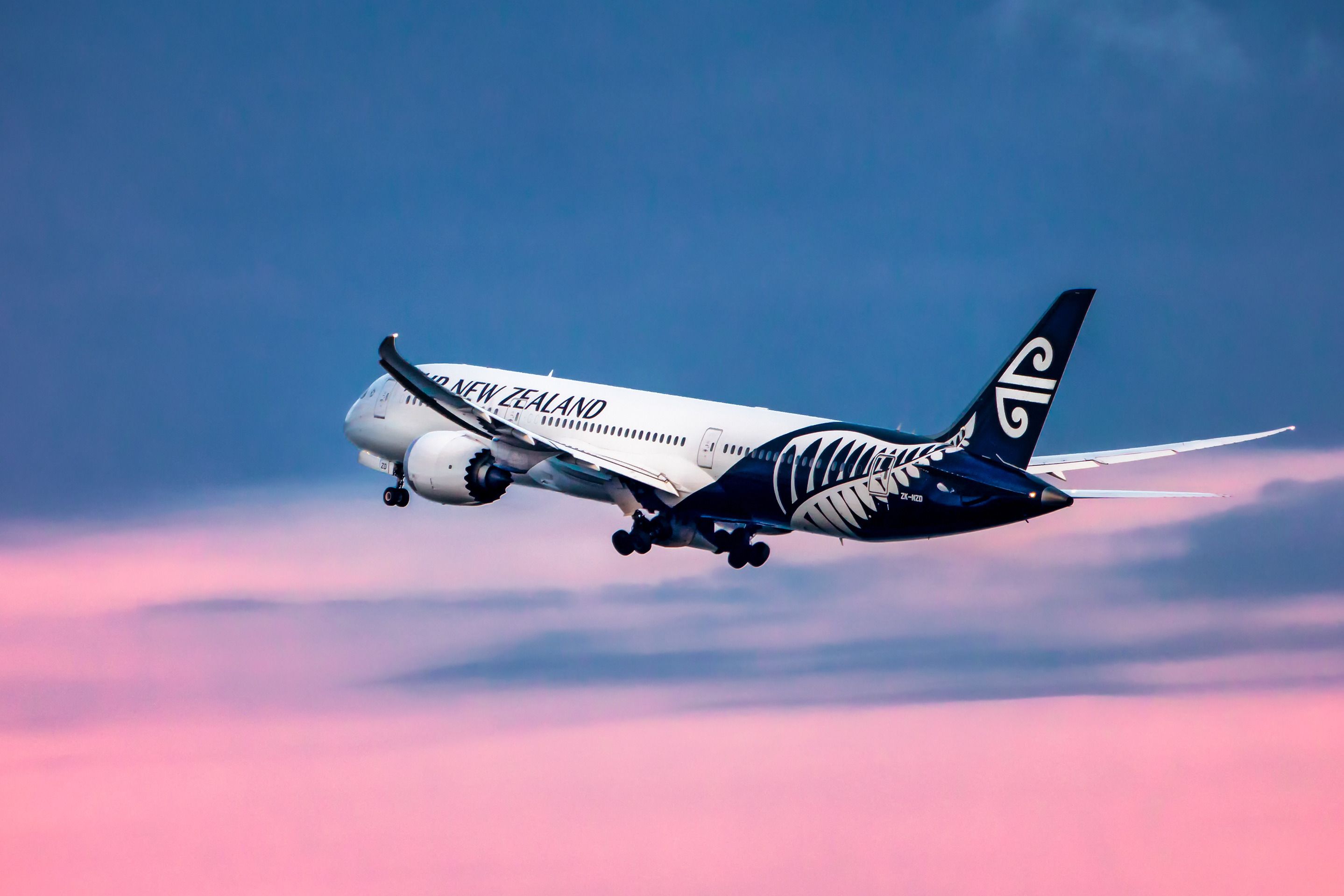 The Story Behind The Boeing 787 Dreamliner's Impressive Wing Flex