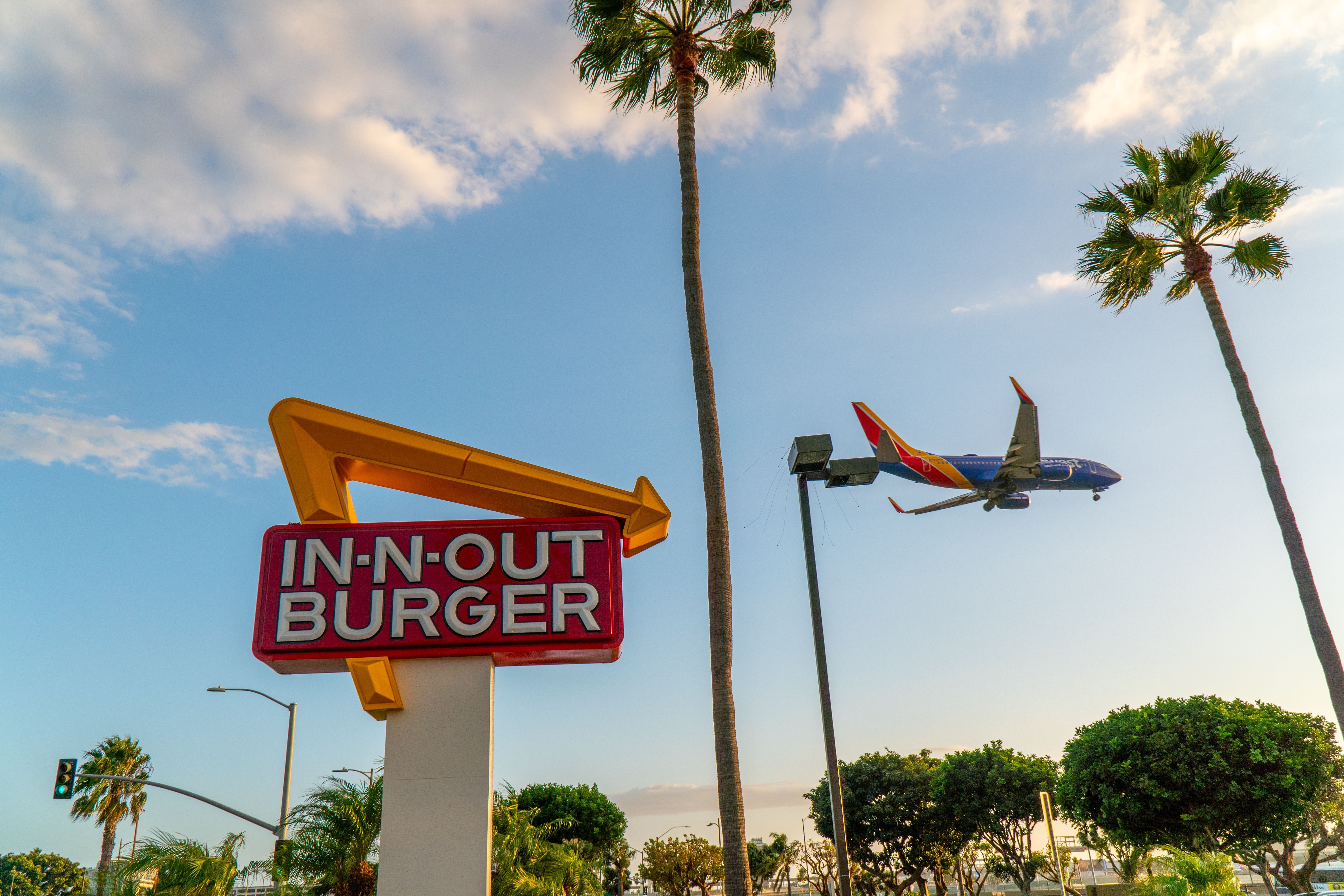 In N Out Palm Tree Logo Palm Trees Logo ClipArt Best
