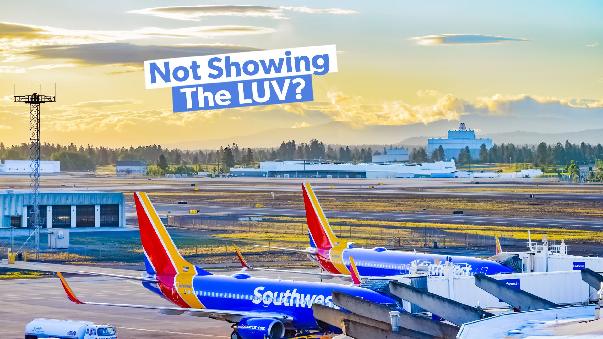 True Colors: How Southwest Airlines' Race To Profitability Left A Void ...