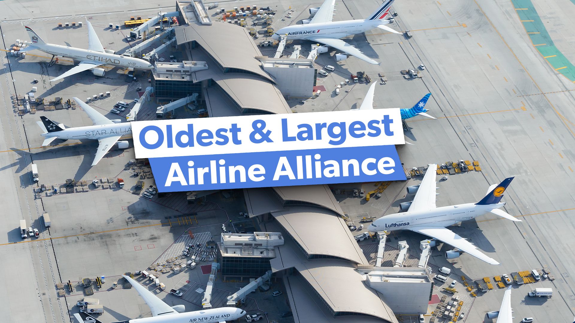 This Is The Oldest & Largest Airline Alliance