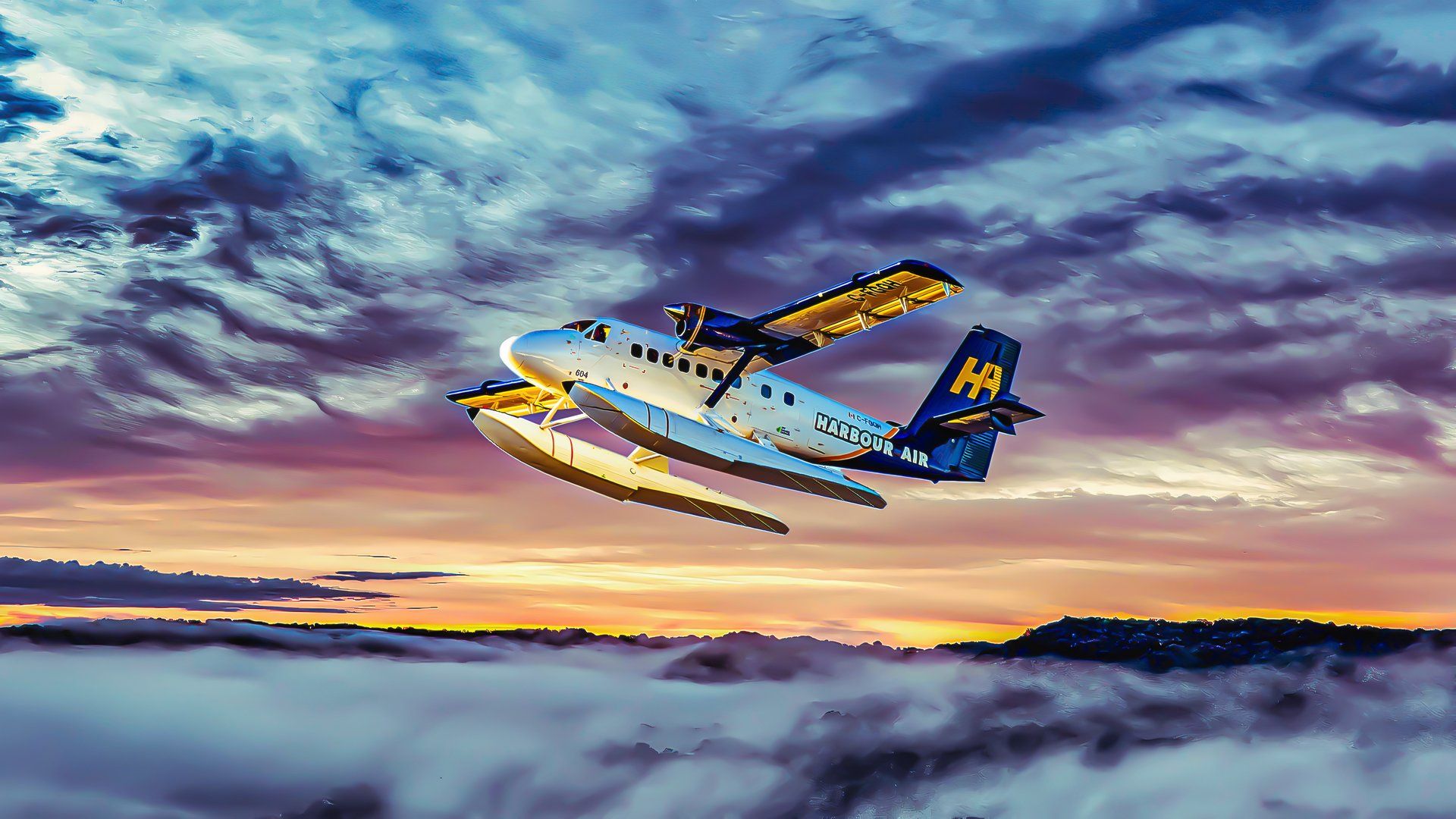 What Type Of Aircraft Does Harbour Air Fly?