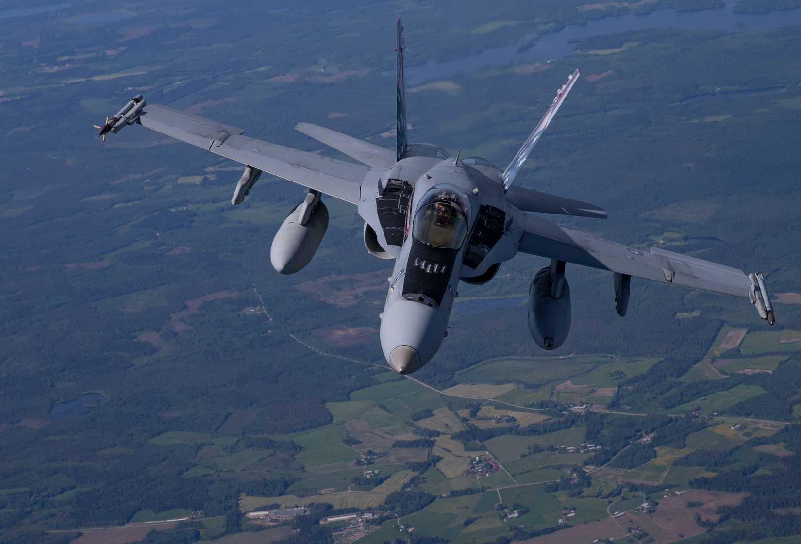 The Finnish Air Force Fleet: What To Know