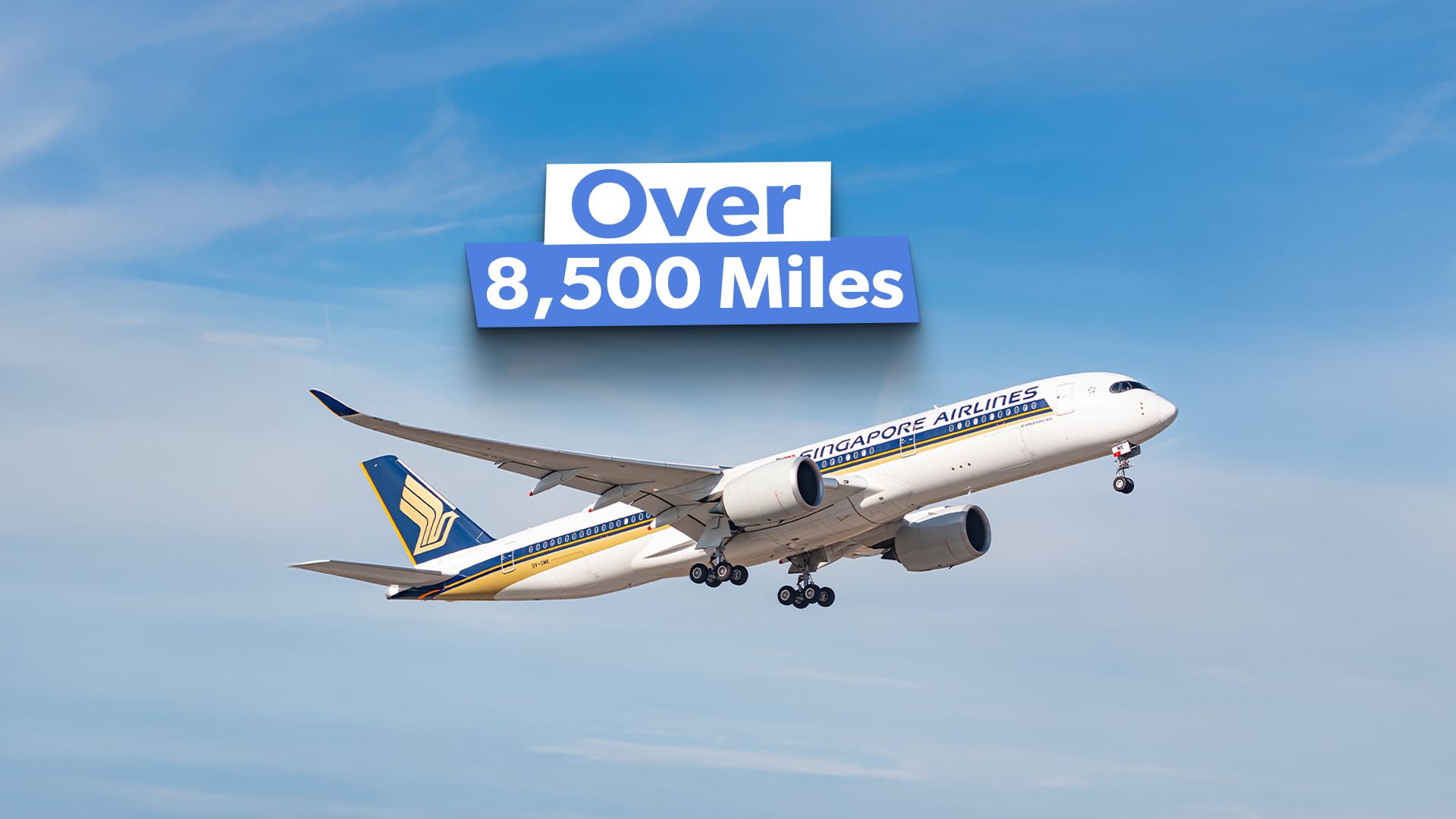 What It Costs To Fly In Business Class On The World's Longest Airbus ...