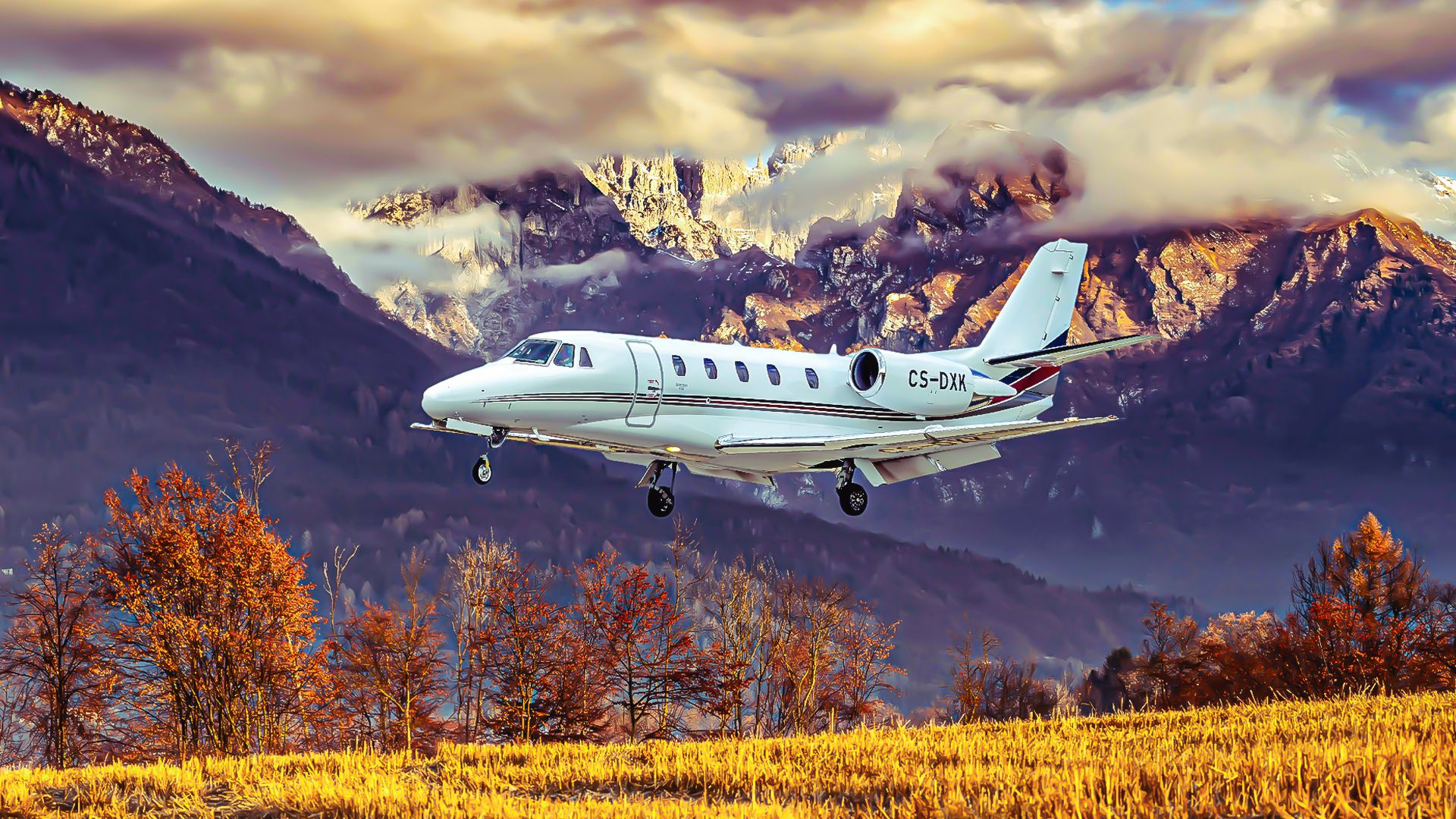 What Are The Types Of Services Offered by NetJets?