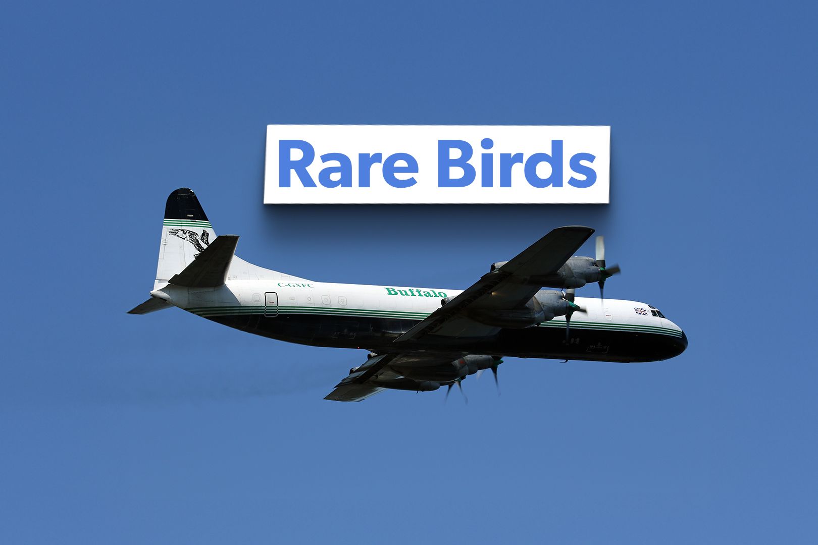 Lockheed Airliner Used In Civil Aviation: A Guide To The Lockheed Model ...