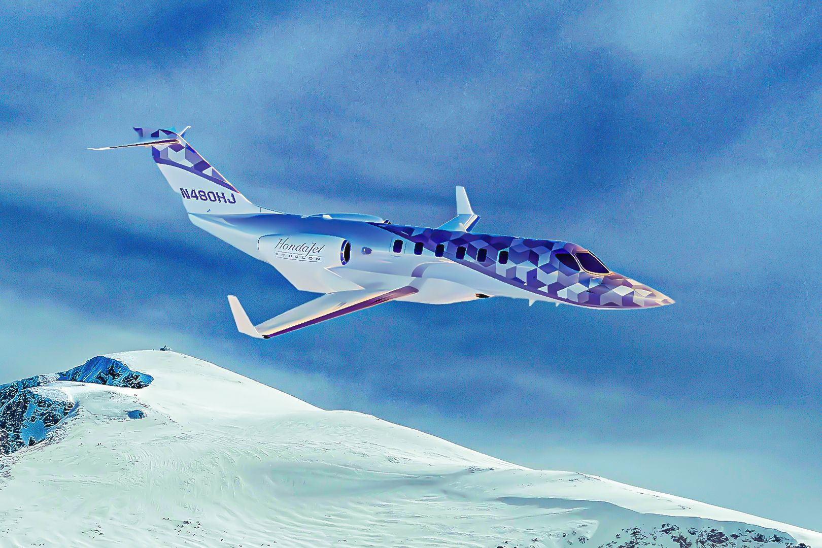 Flying with Pets: What You Need to Know About Private Jet Travel with ...