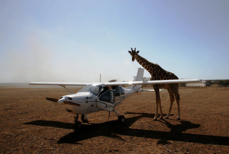 Australian Kit Planes? A Complete Guide To Jabiru Aircraft