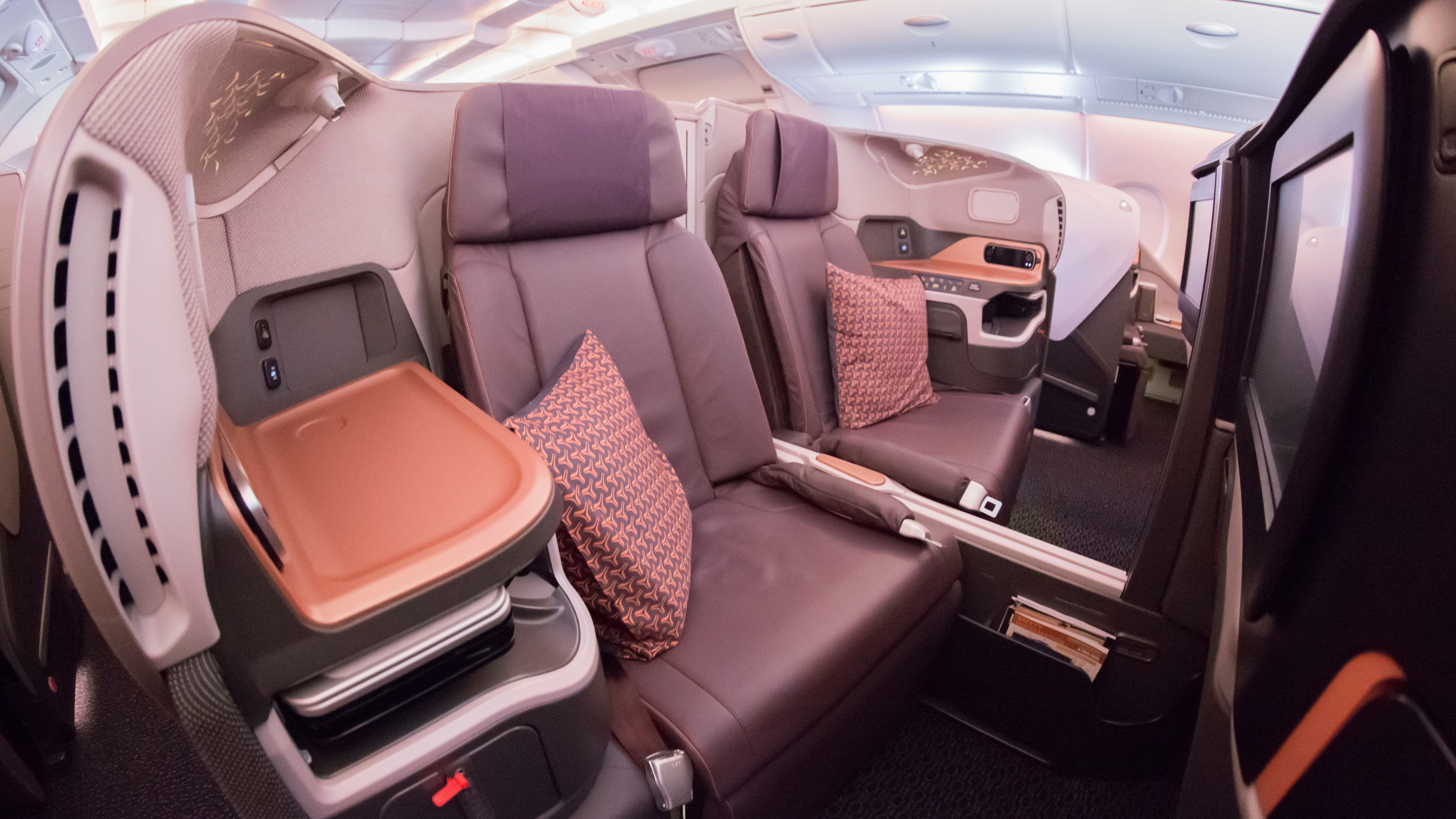 Spotted: Dalmatian Flies On Singapore Airlines Business Class To Japan