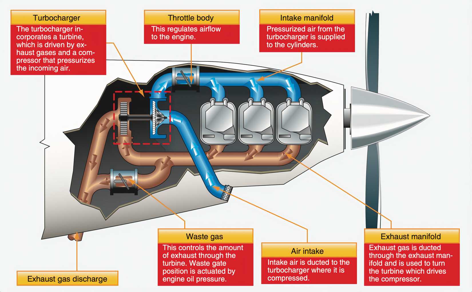 Why Did Cessna Re-Introduce The Turbo Cessna 182 Skylane?