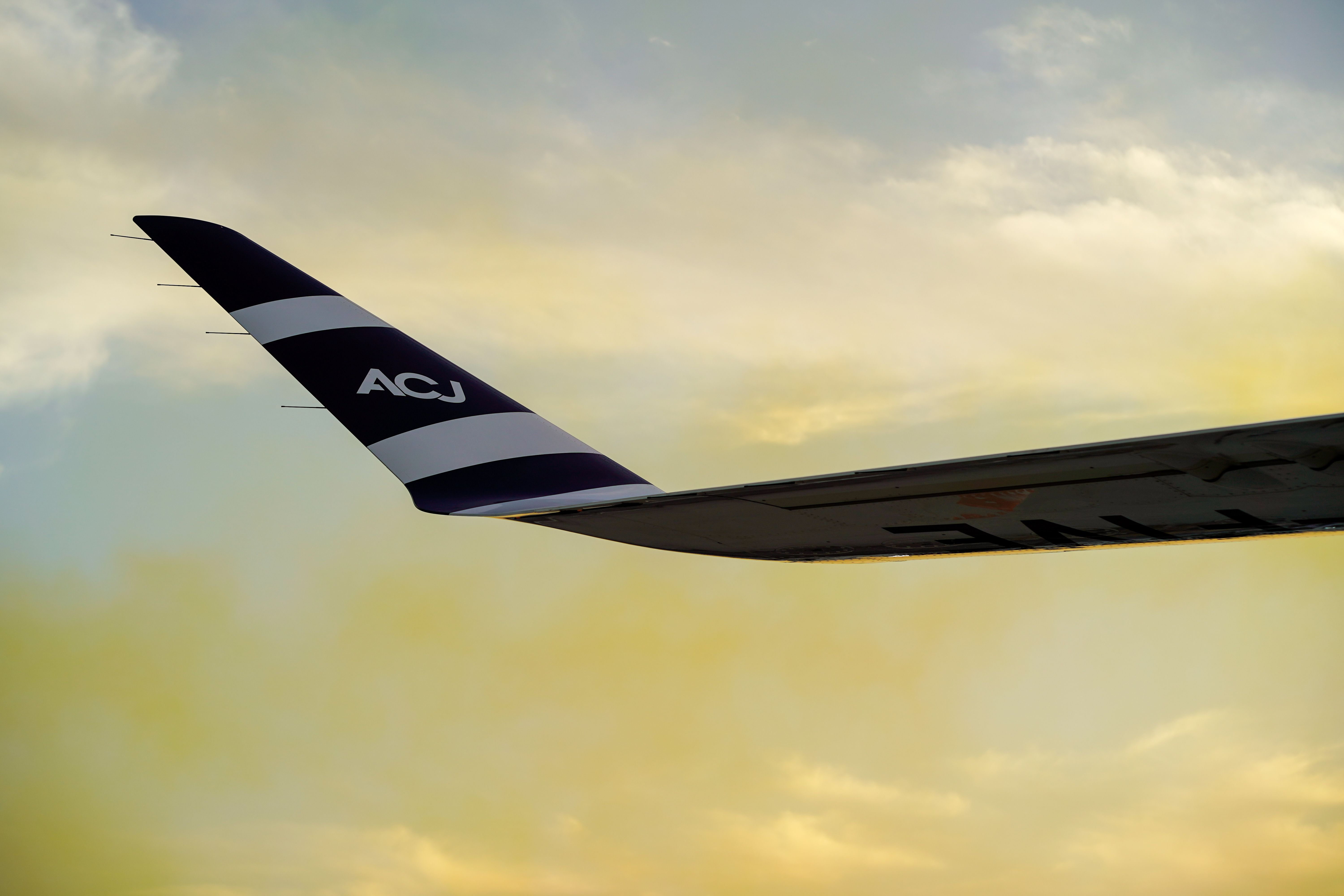 Fit For Royalty: A Look At The Airbus A340 Private Jet