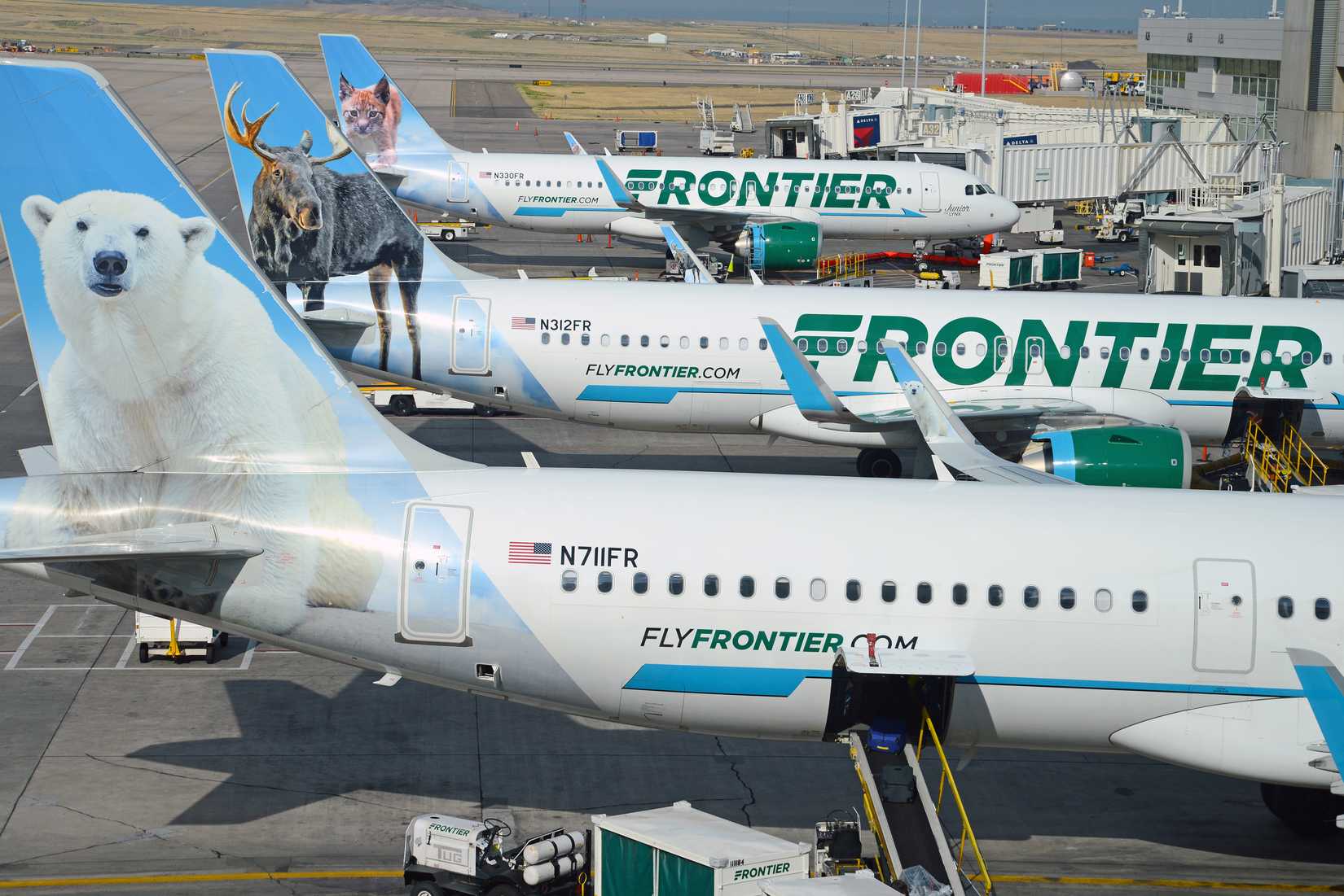 Allegiant Air Vs. Spirit Airlines Vs. Frontier Airlines: Which American ...