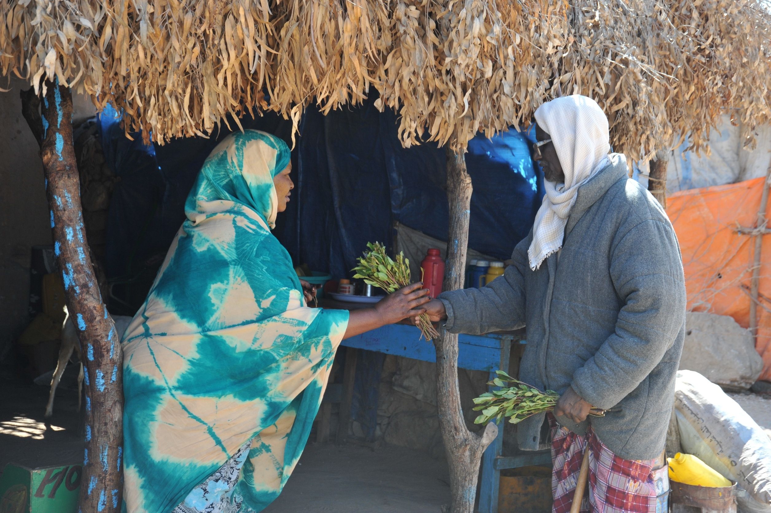 Frankfurt Airport Police Seize 150kg Of Khat Worth Thousands Of Dollars