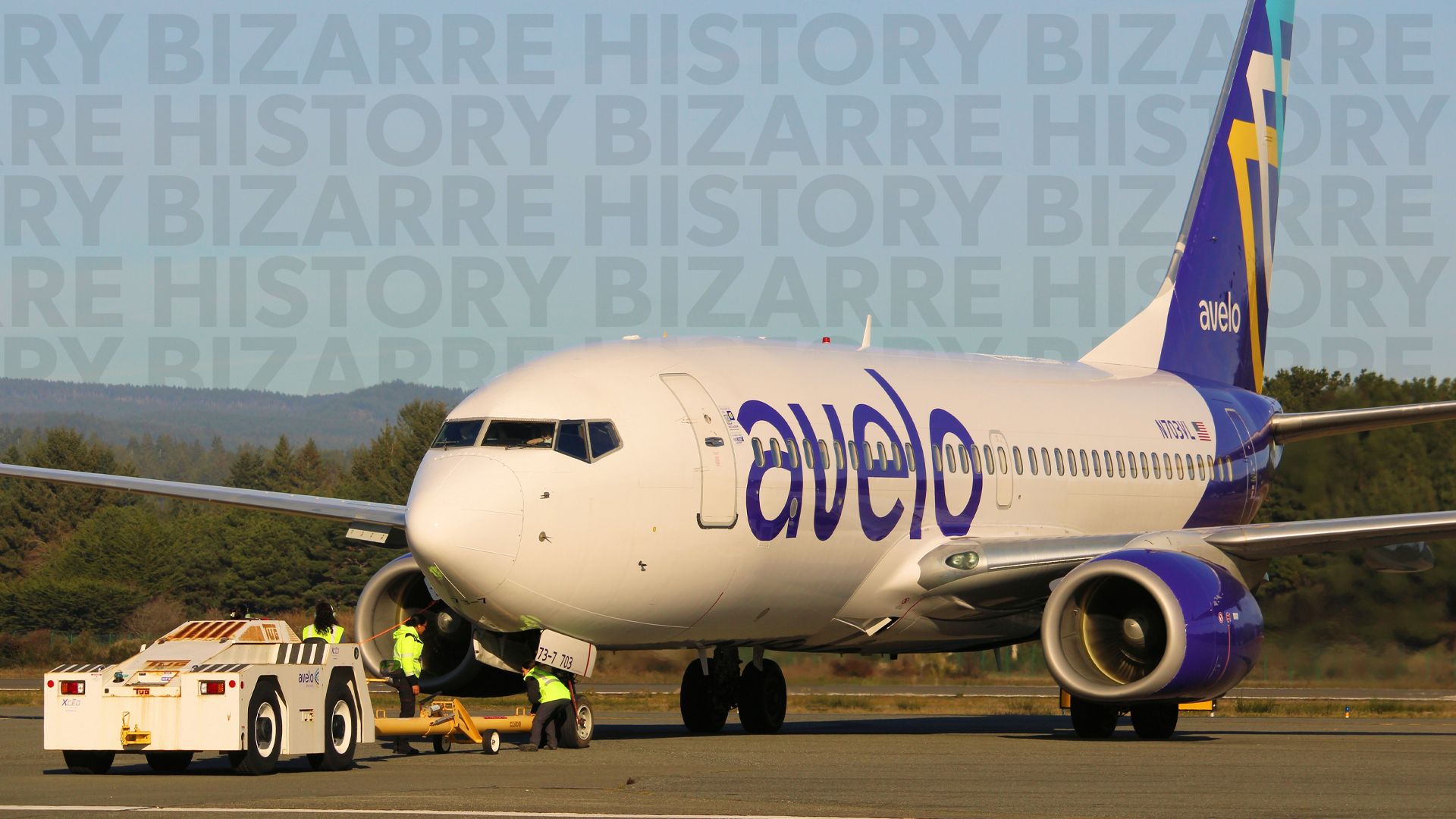 Why Does Lufthansa Still Fly The Airbus A340?