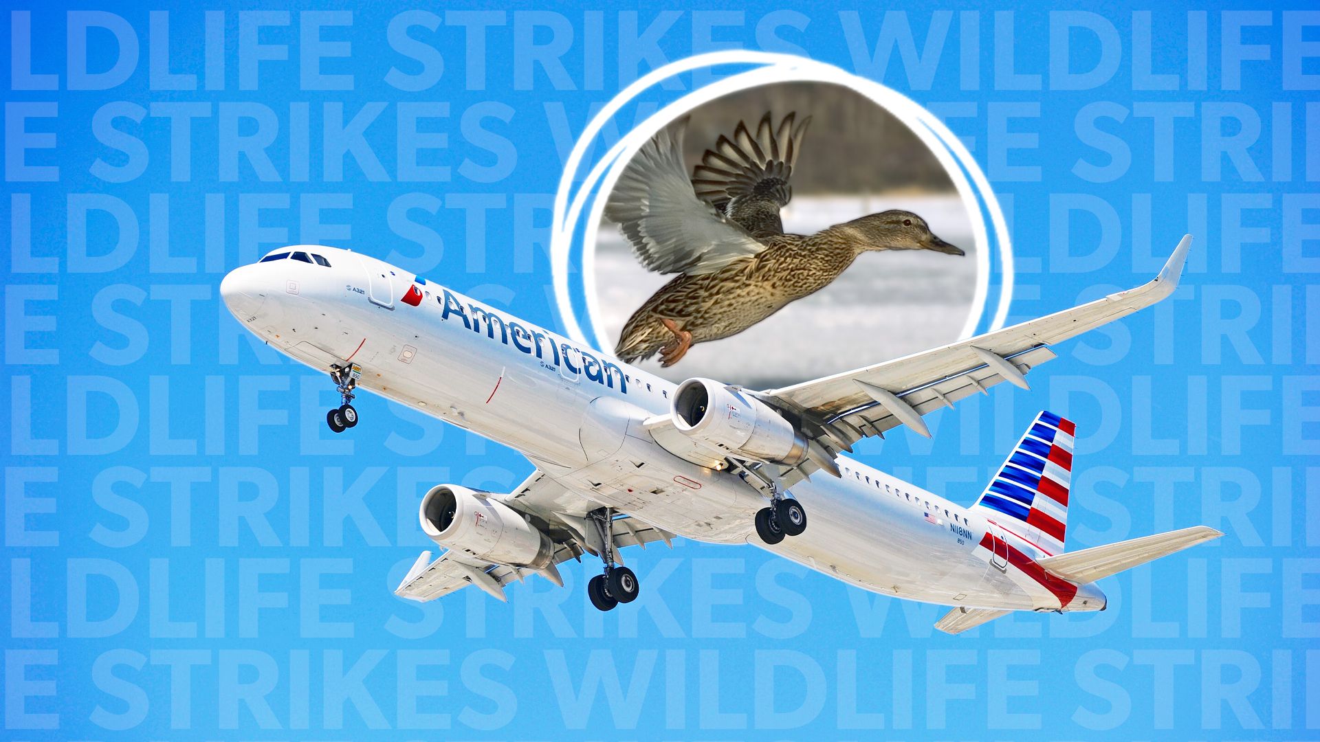 Is A Boeing 757 Bigger Than An Airbus A321?