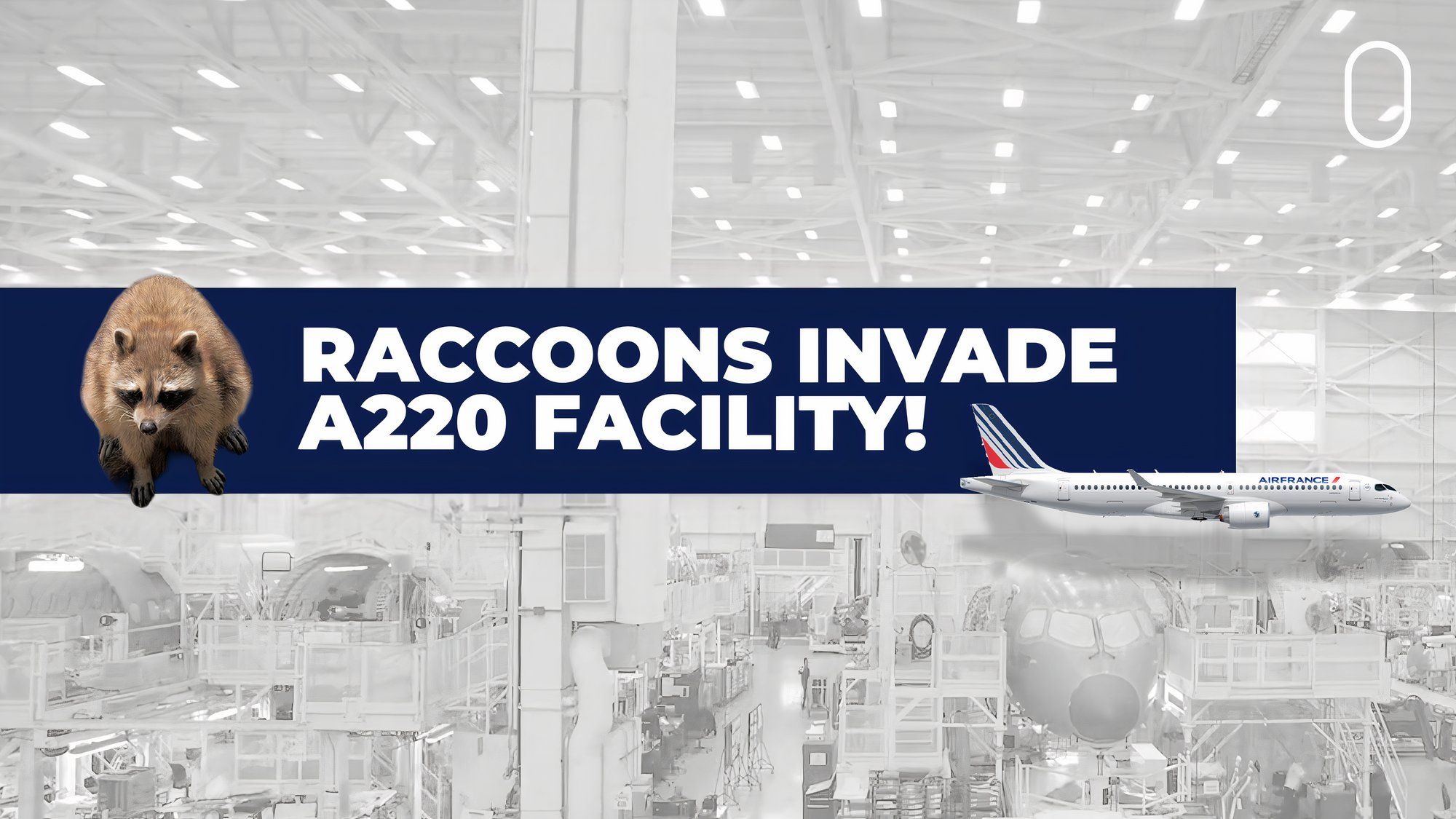 The Latest Problem For The Airbus A220: Raccoons In The Factory?