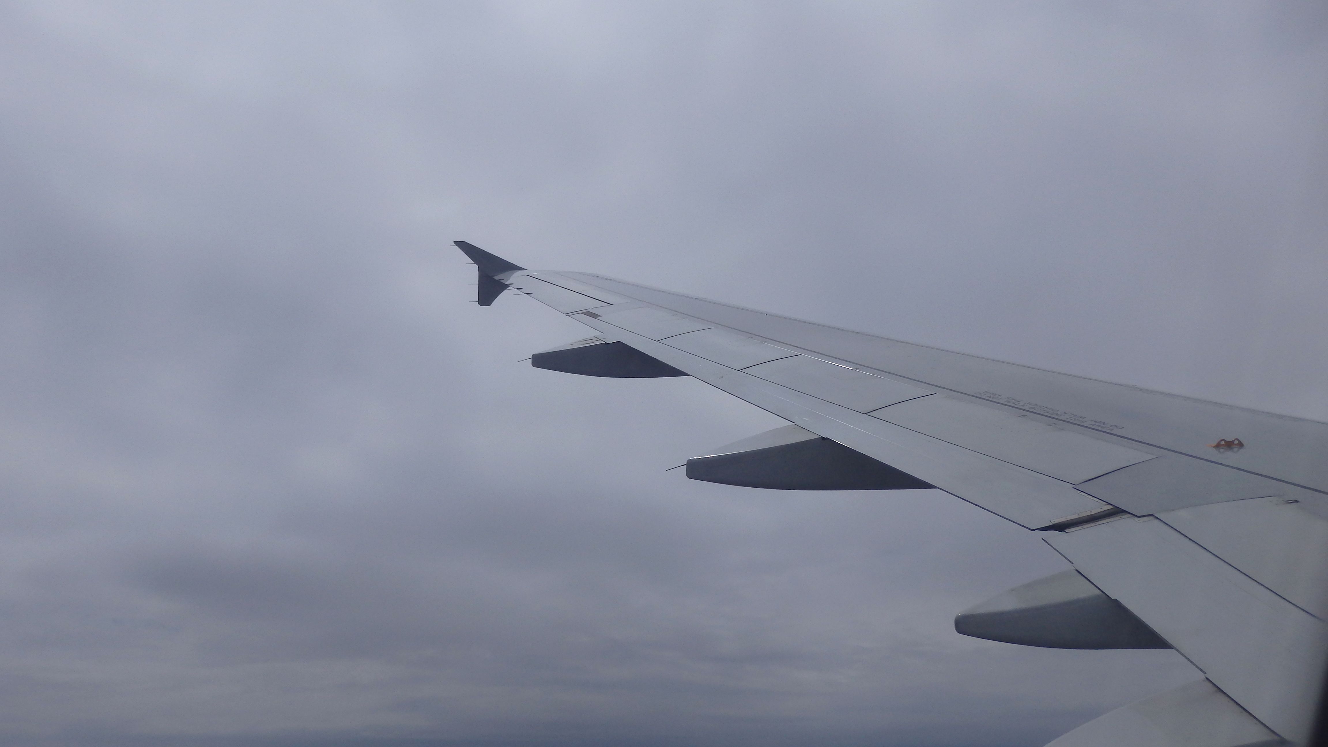 Why The Airbus A320 Family Has Such Different Winglets