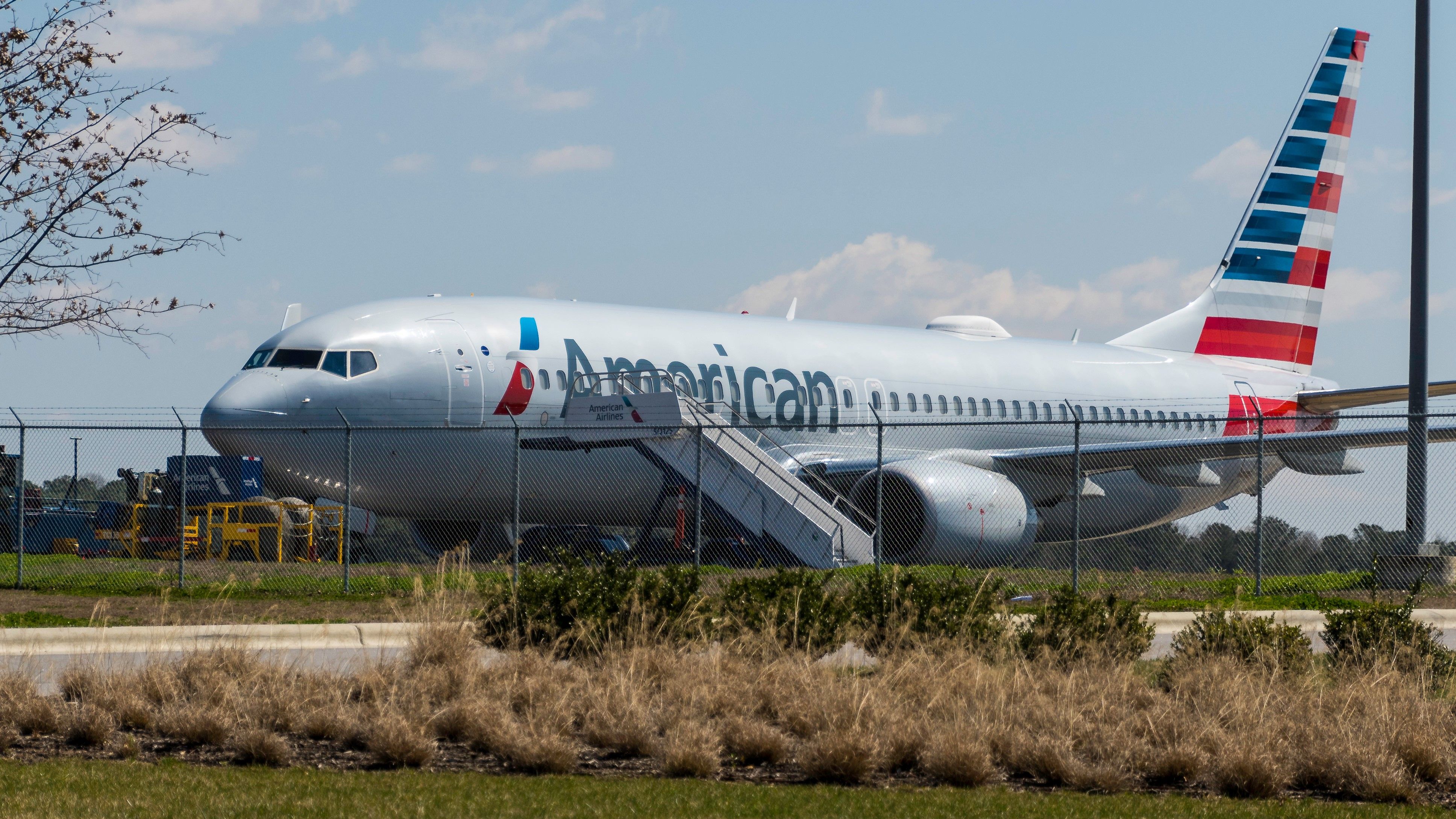 Unknown Elevator Trim Issue Forces American Airlines Boeing 737 MAX 8 ...